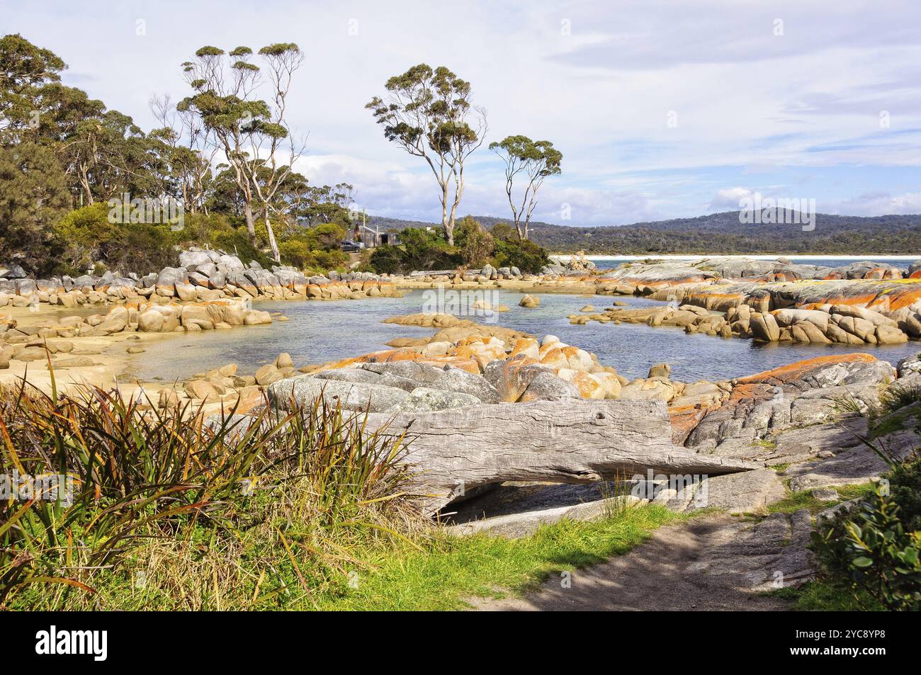 Little pond in Skeleton Bay surrounded by boulders draped in orange ...