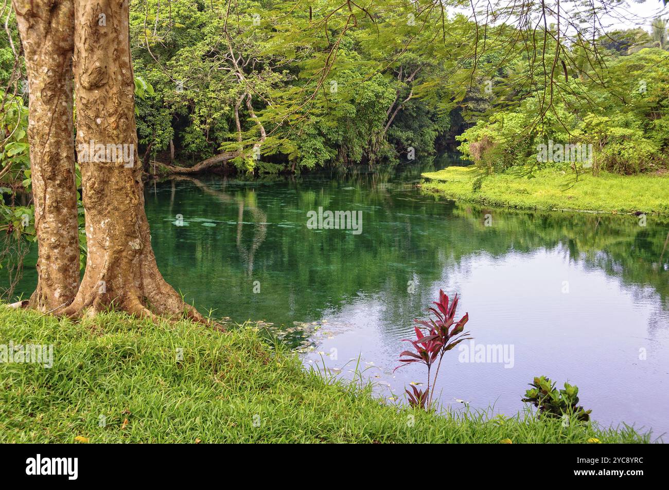 Blue holes vanuatu hi-res stock photography and images - Alamy