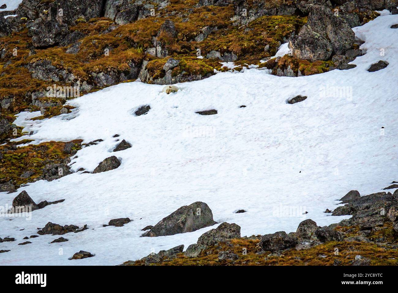 Family snow snowfield glacier hi-res stock photography and images - Alamy