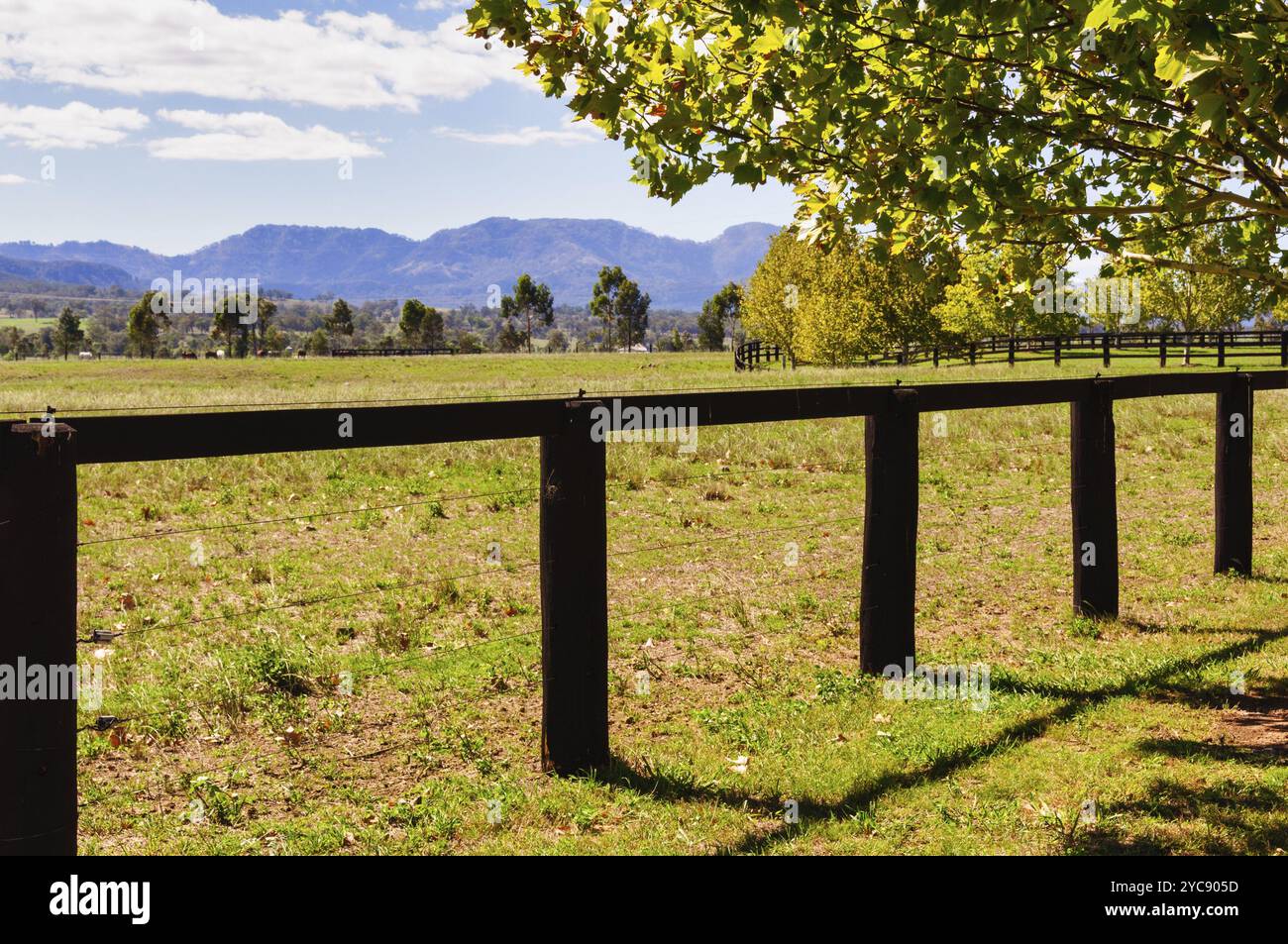 The Upper Hunter is an internationally acclaimed and mature ...