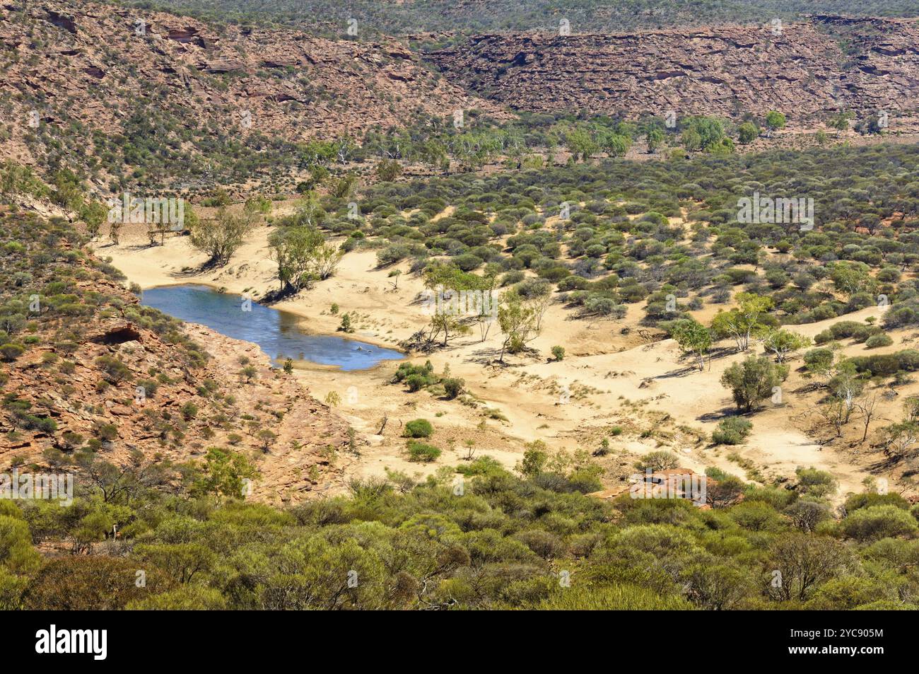 Little oasis in the Murchison Gorge, Kalbarri, WA, Australia, Oceania ...