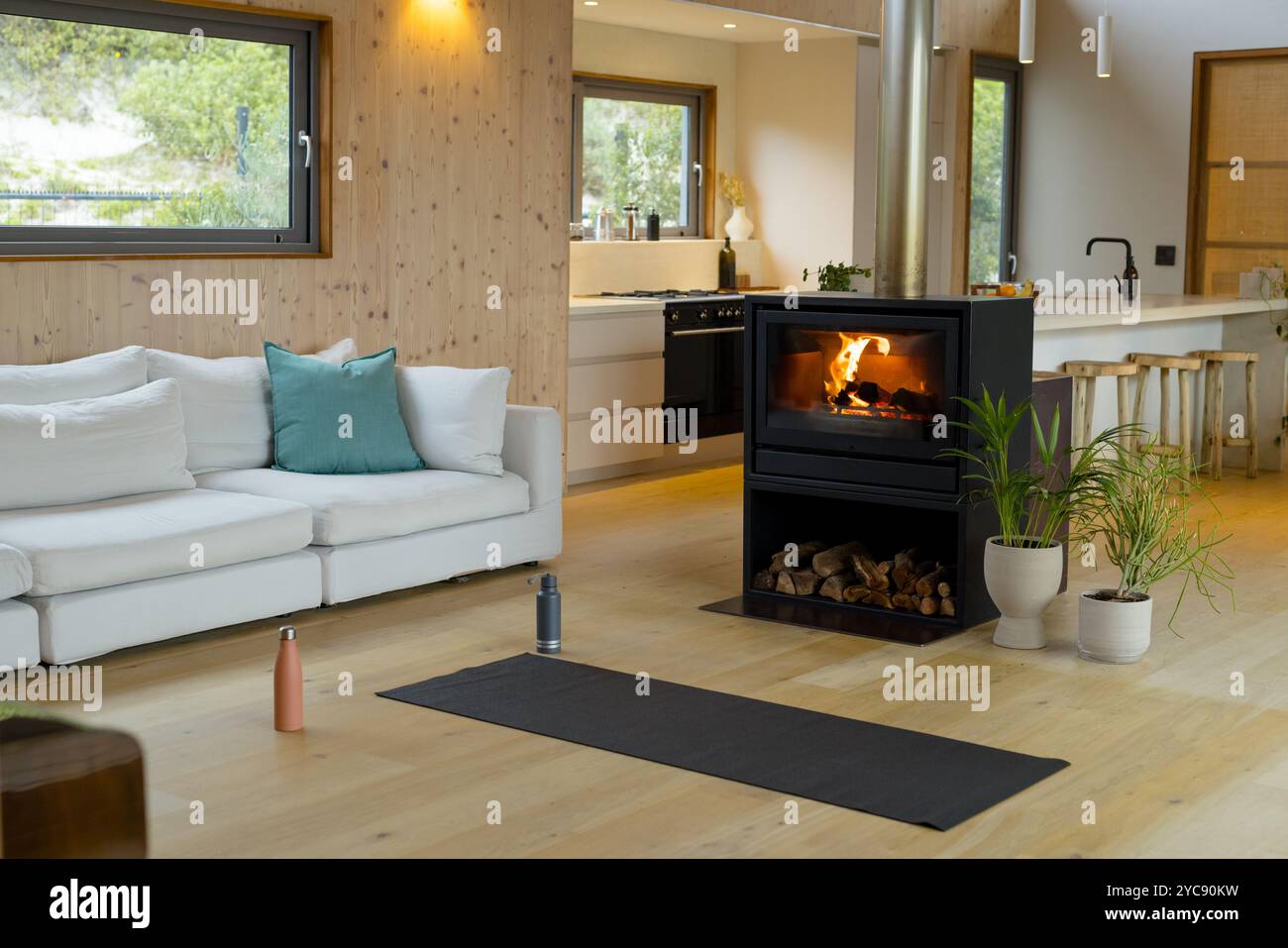 Cozy living room with fireplace, yoga mat, and plants creating warm ...