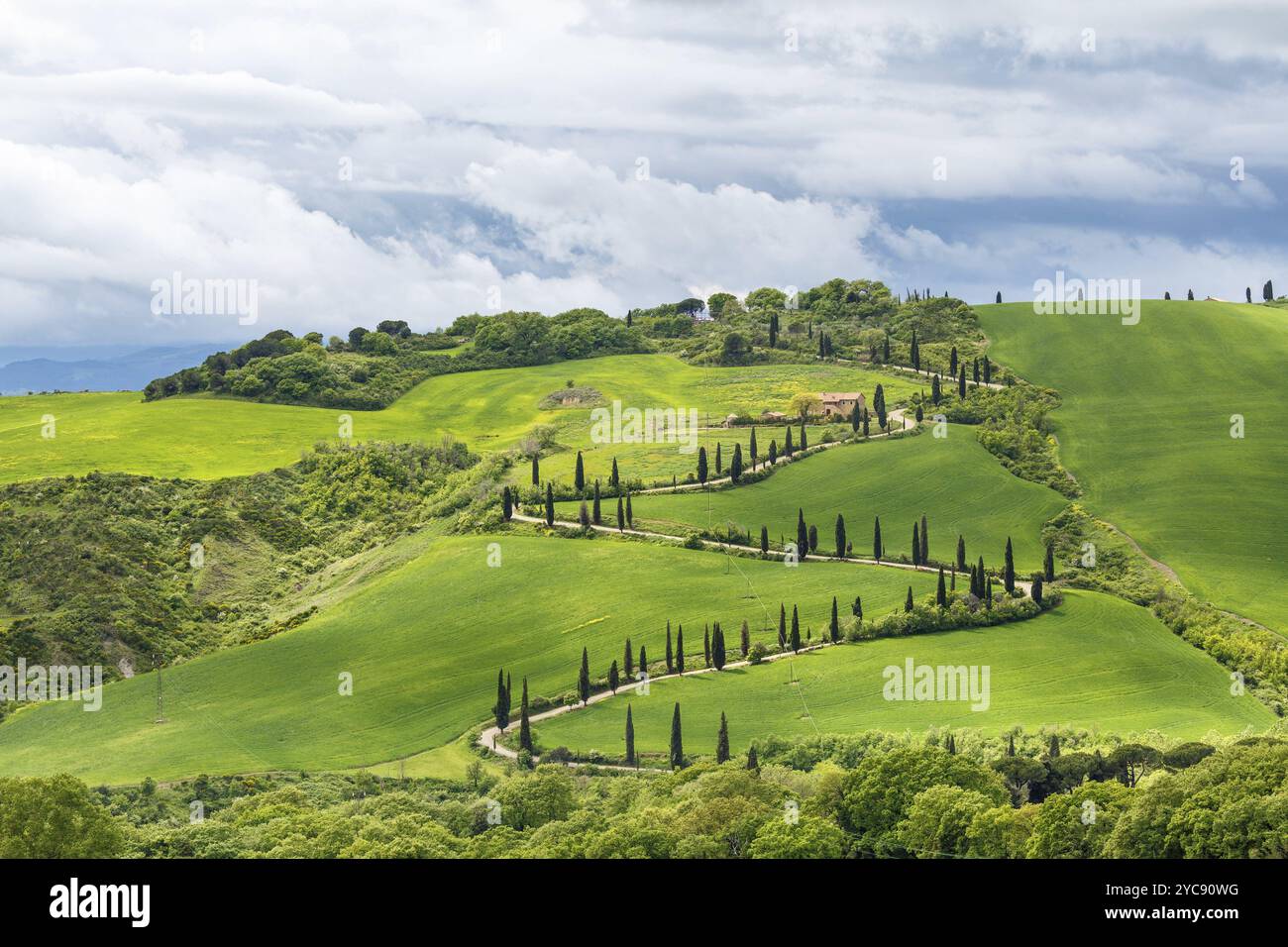 Birds eye view curvy road hi-res stock photography and images - Alamy