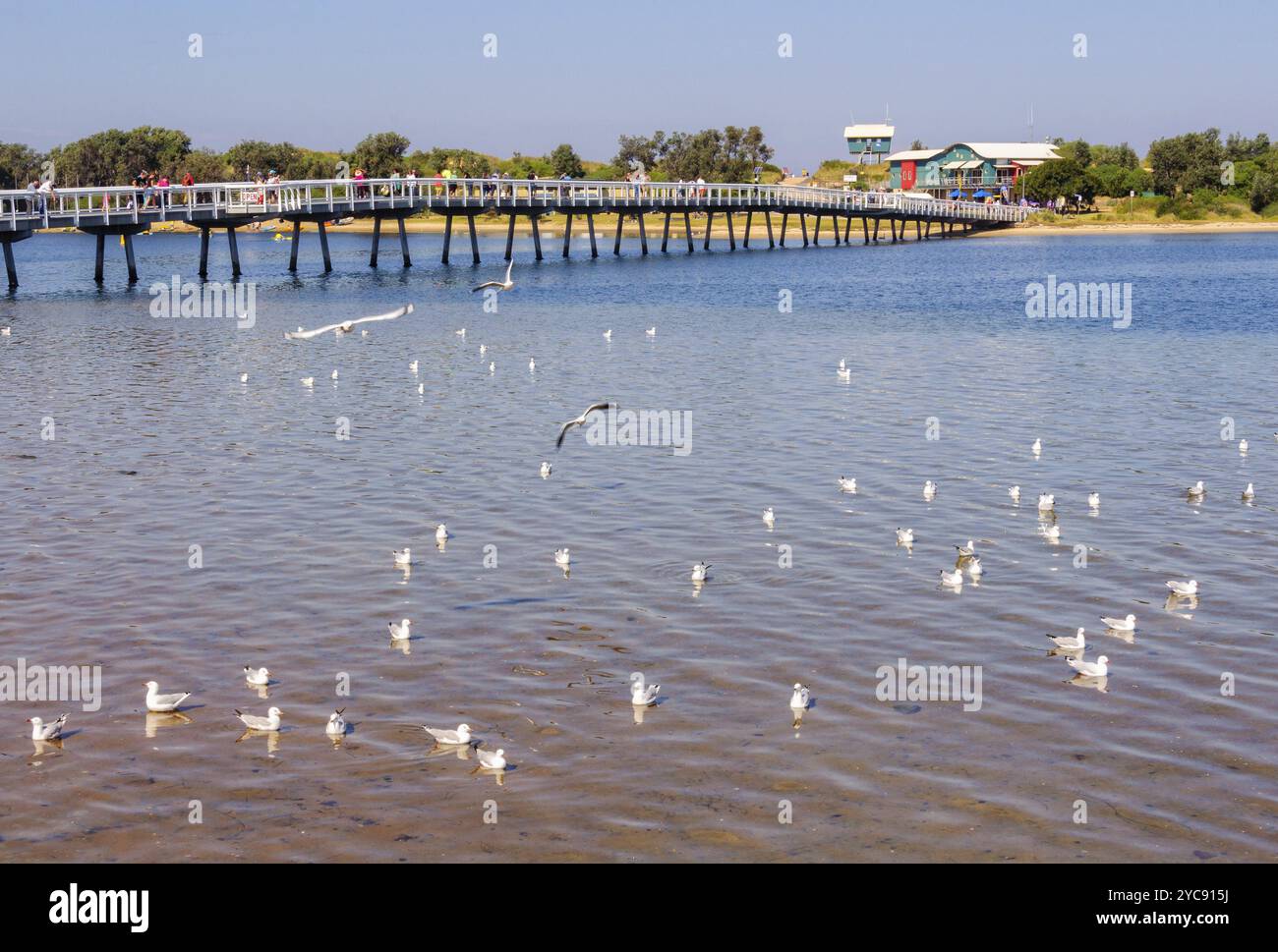 Cunninghame arm footbridge hi-res stock photography and images - Alamy