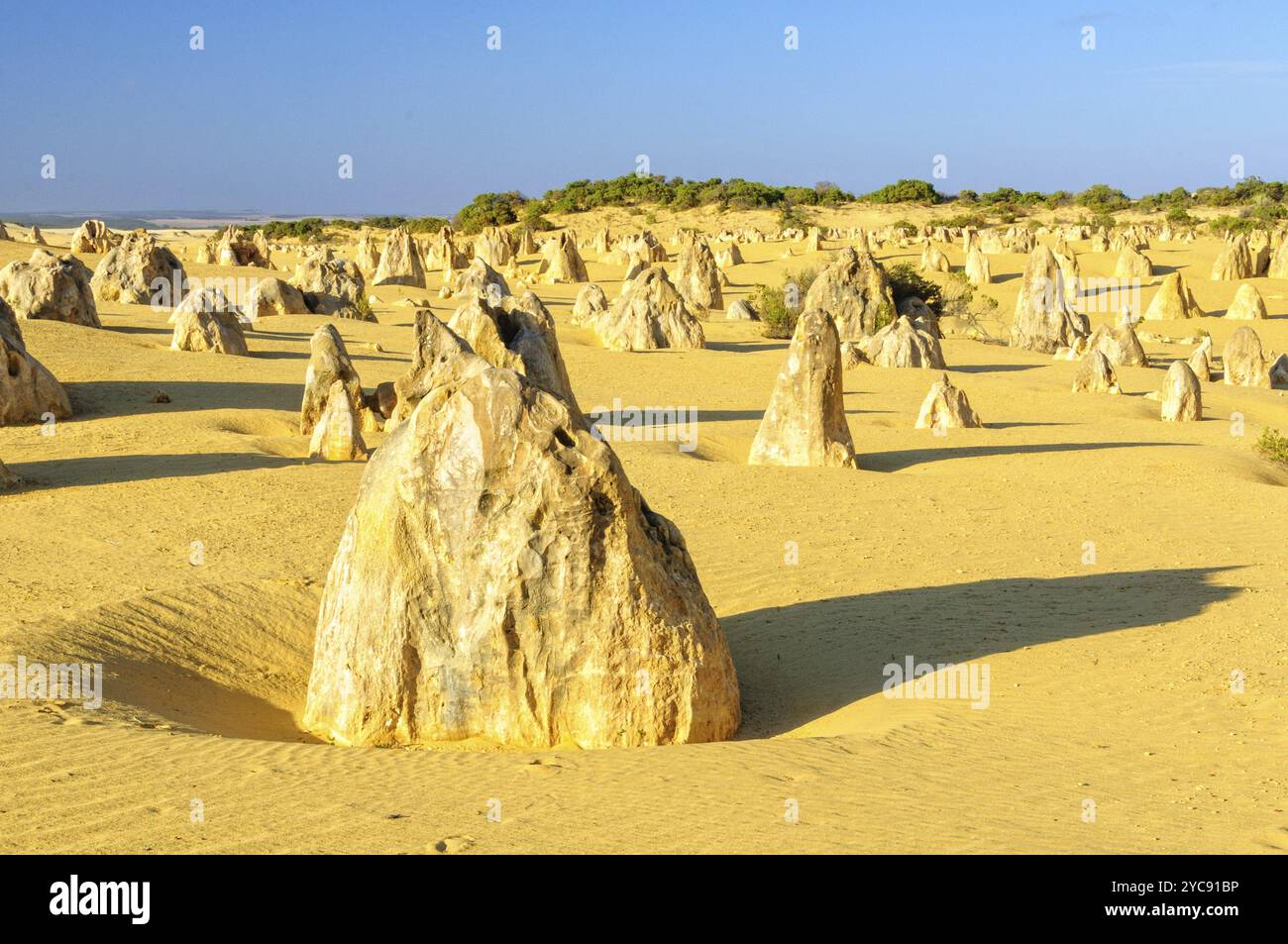 Limestone pillars in the Pinnacles Desert of the Nambung National Park ...