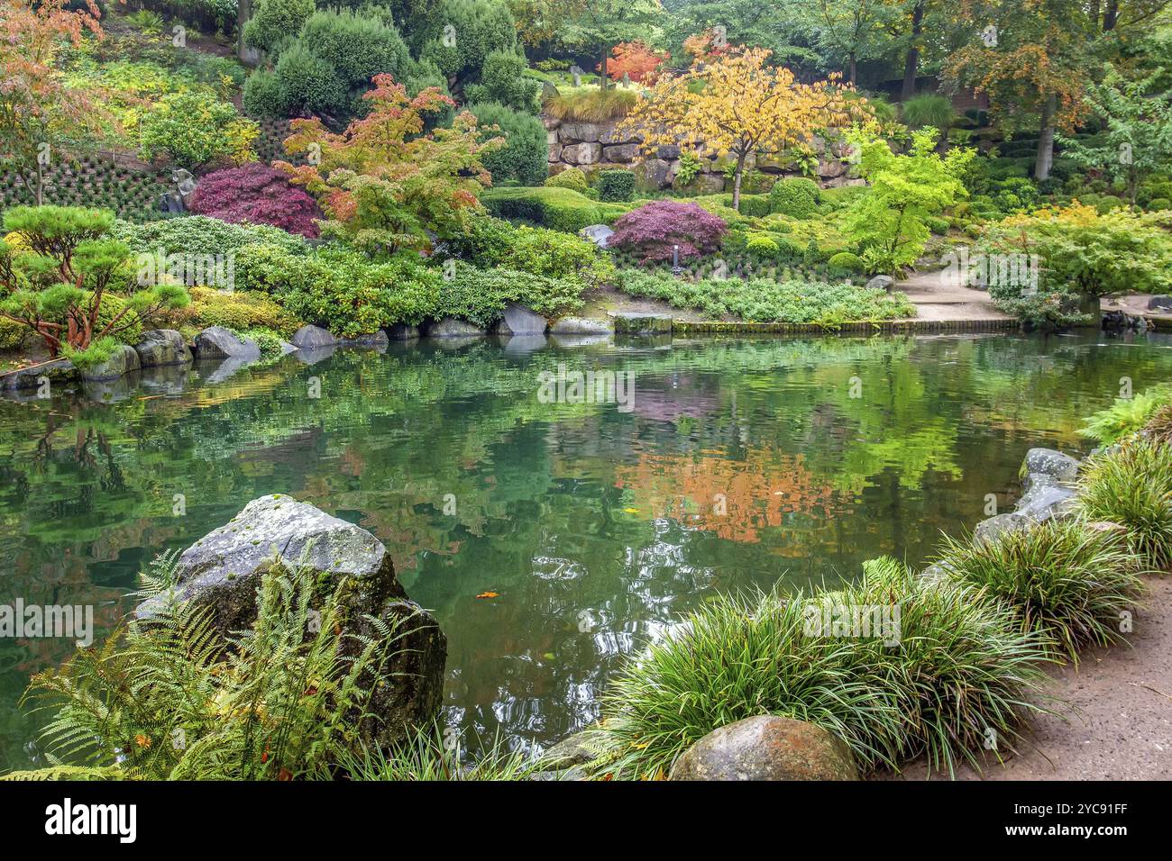 Pond in japanese garden of Kaiserslautern, Germany, KOI fish and amazing orange autumn nature ...