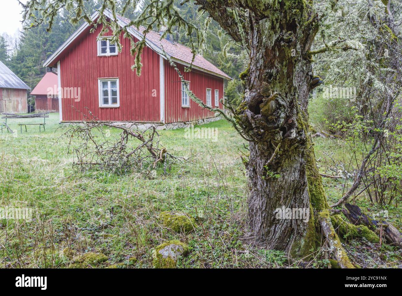 Farms outdoors trees hi-res stock photography and images - Alamy