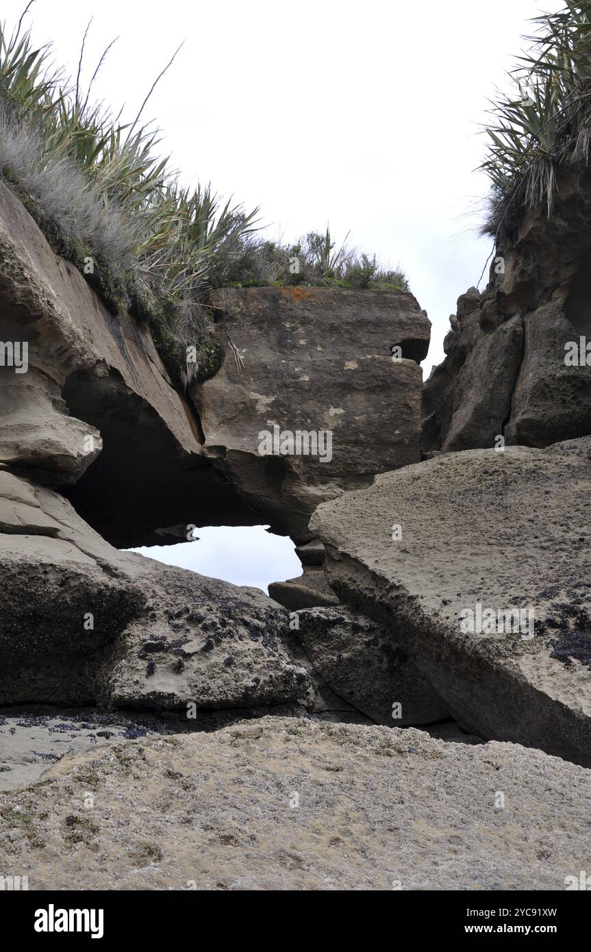 Limestone erosion at the Truman Track, Paparoa National Park, West ...