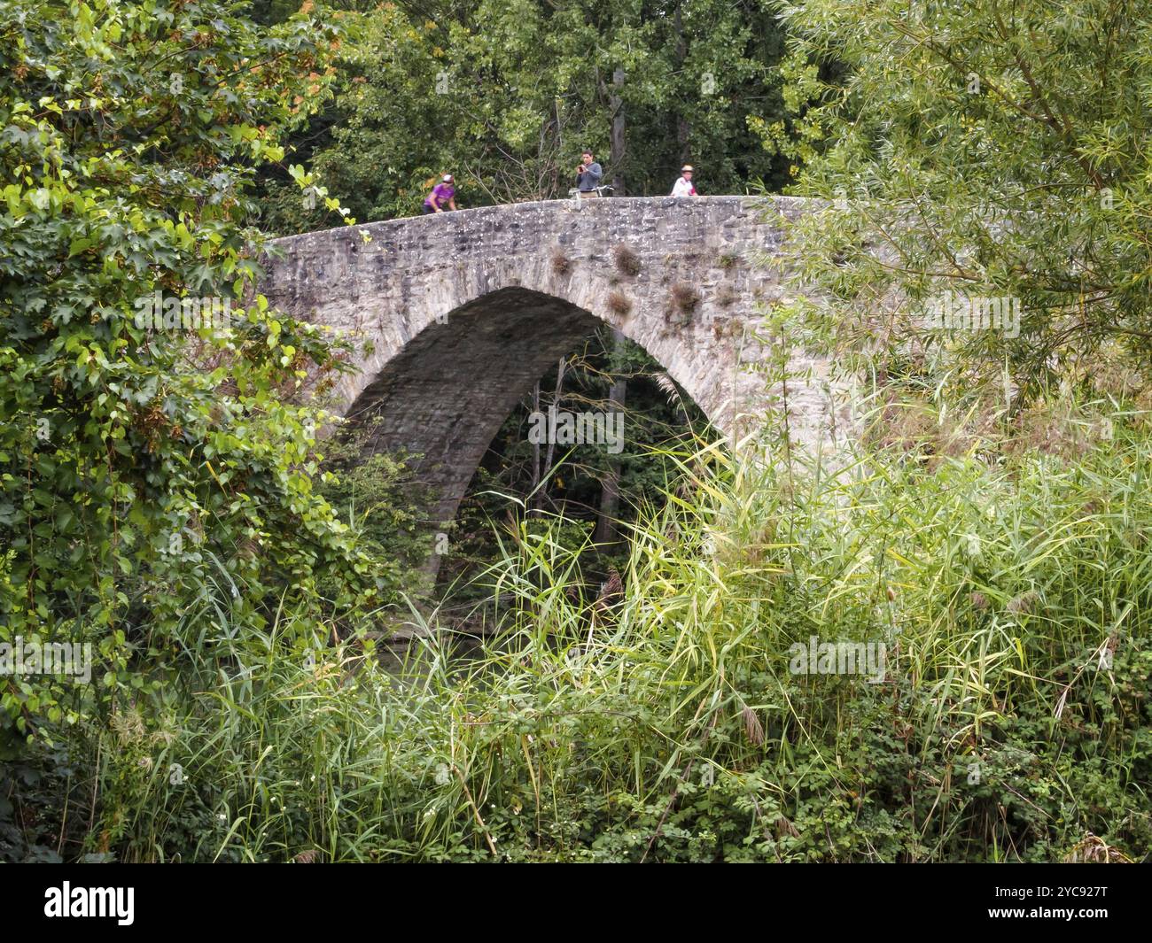 The medieval bridge (puente) Magdalena over the Arga River (Rio ...
