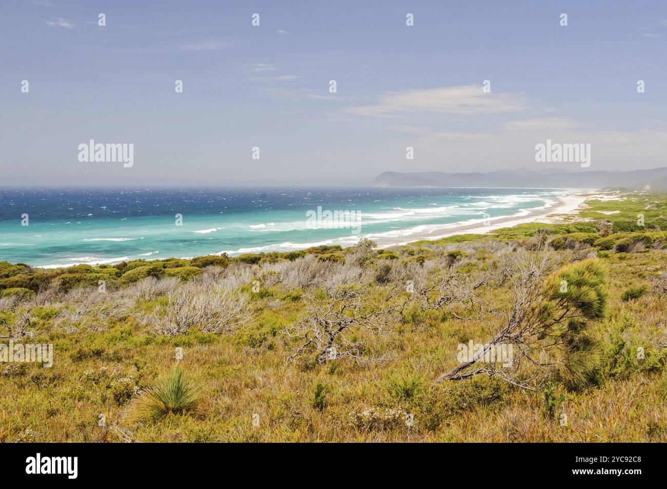 The Friendly Beaches in the Freycinet National Park is a popular place ...