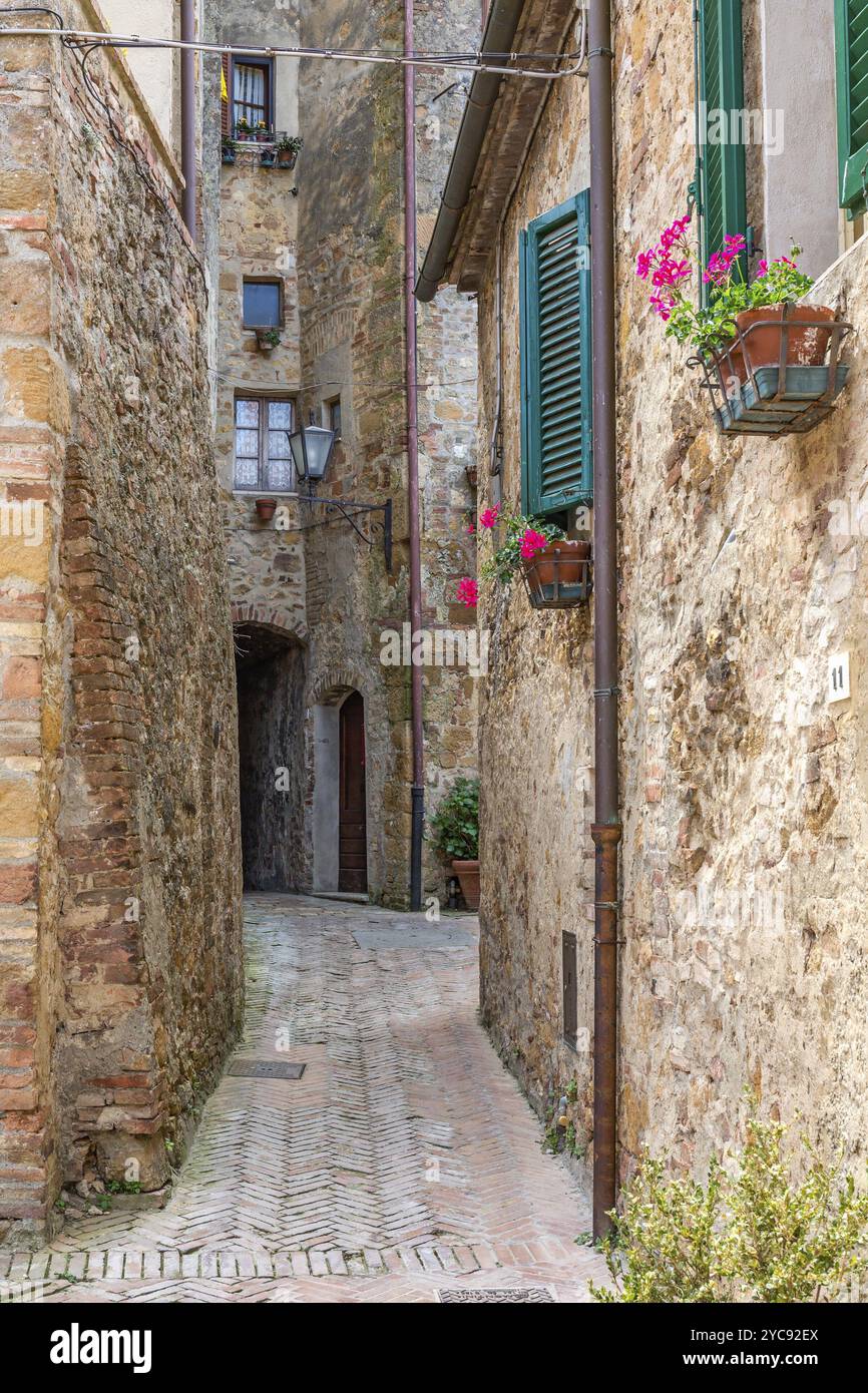 Backyard in an alley with flowering plants at the windows Stock Photo ...