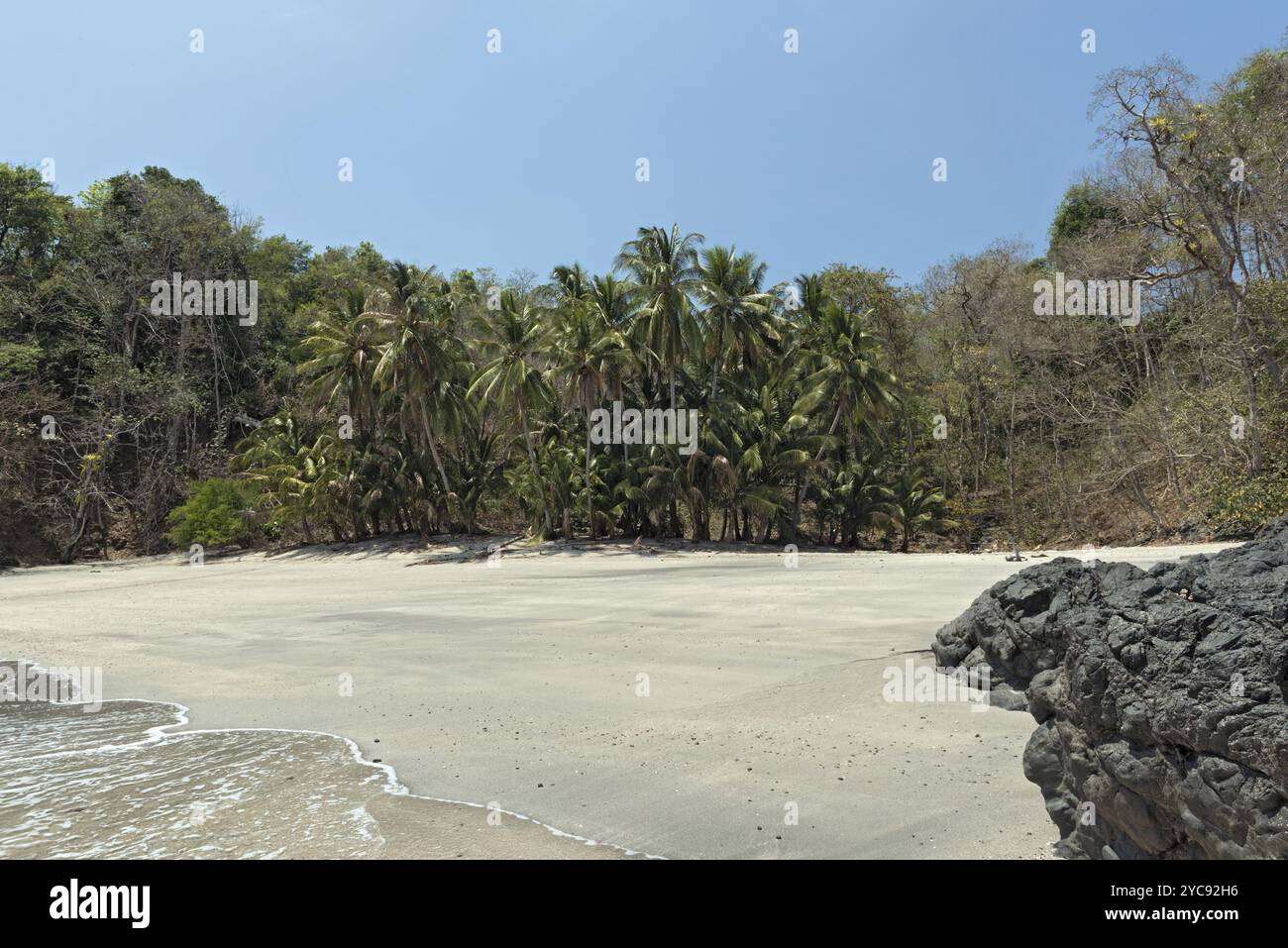 Tropical palm beach on the cebaco island panama Stock Photo - Alamy