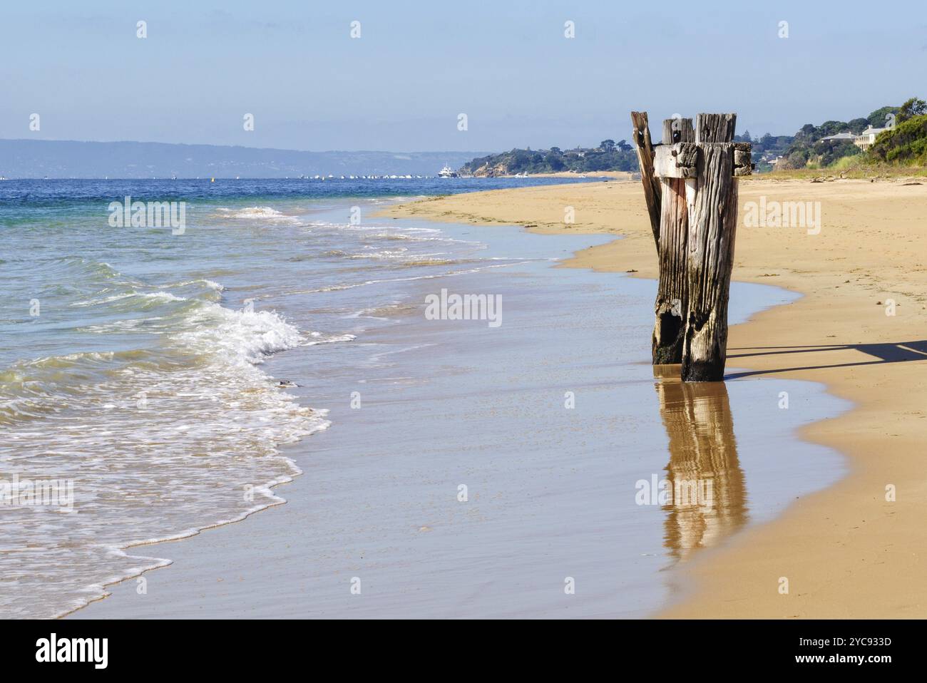 Remains of an old cattle jetty at Point Nepean, Portsea, Victoria ...