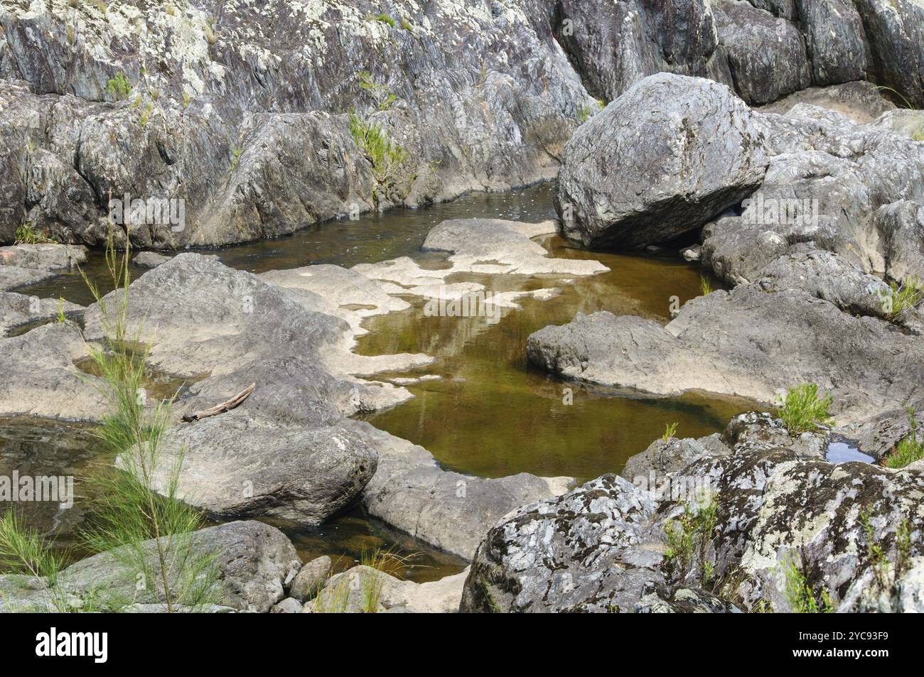 Dry bed of the Chandler River in the Oxley Wild Rivers National Park ...