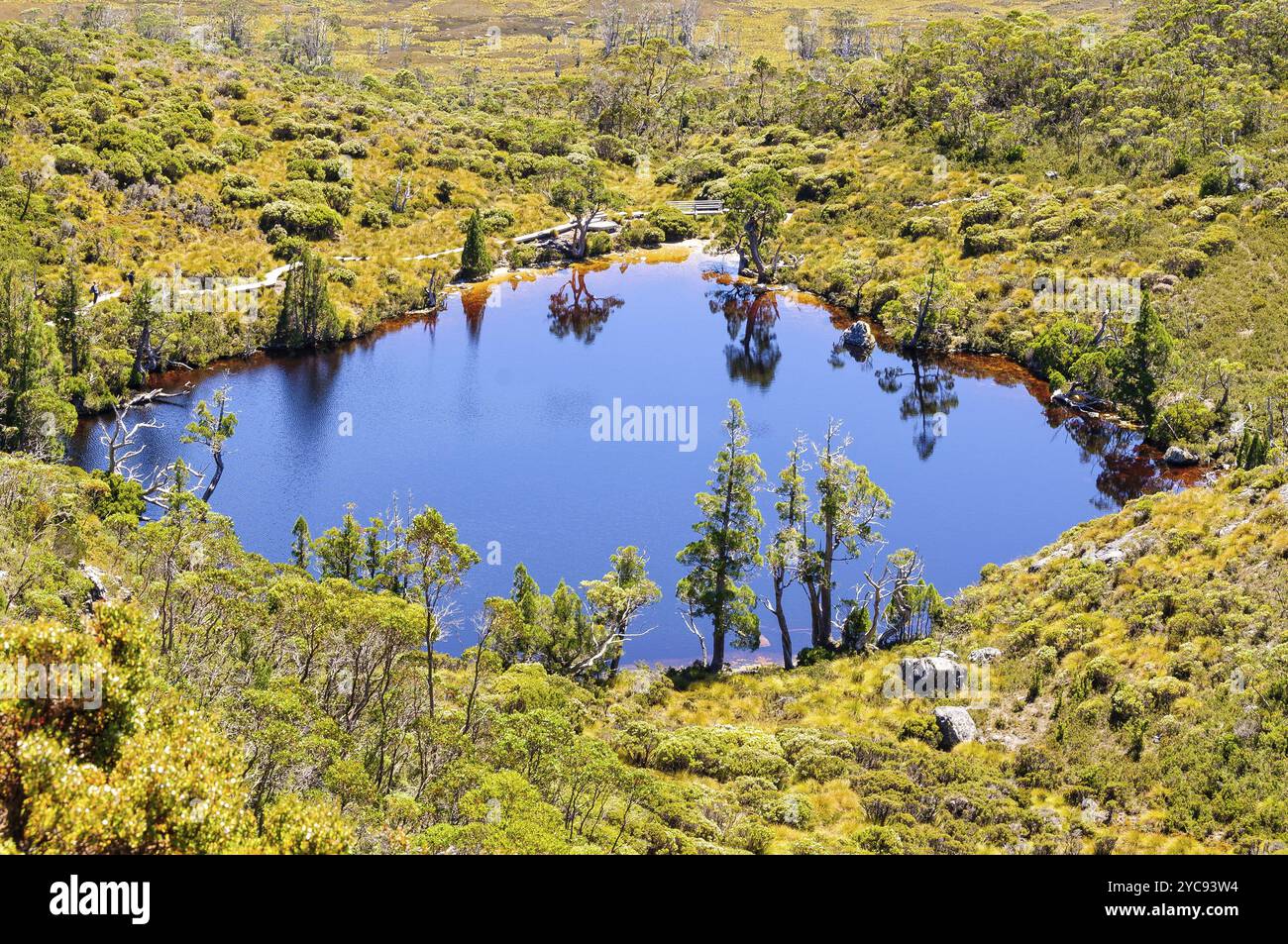 Wombat Pool in the Cradle Mountain-Lake St Clair National Park ...