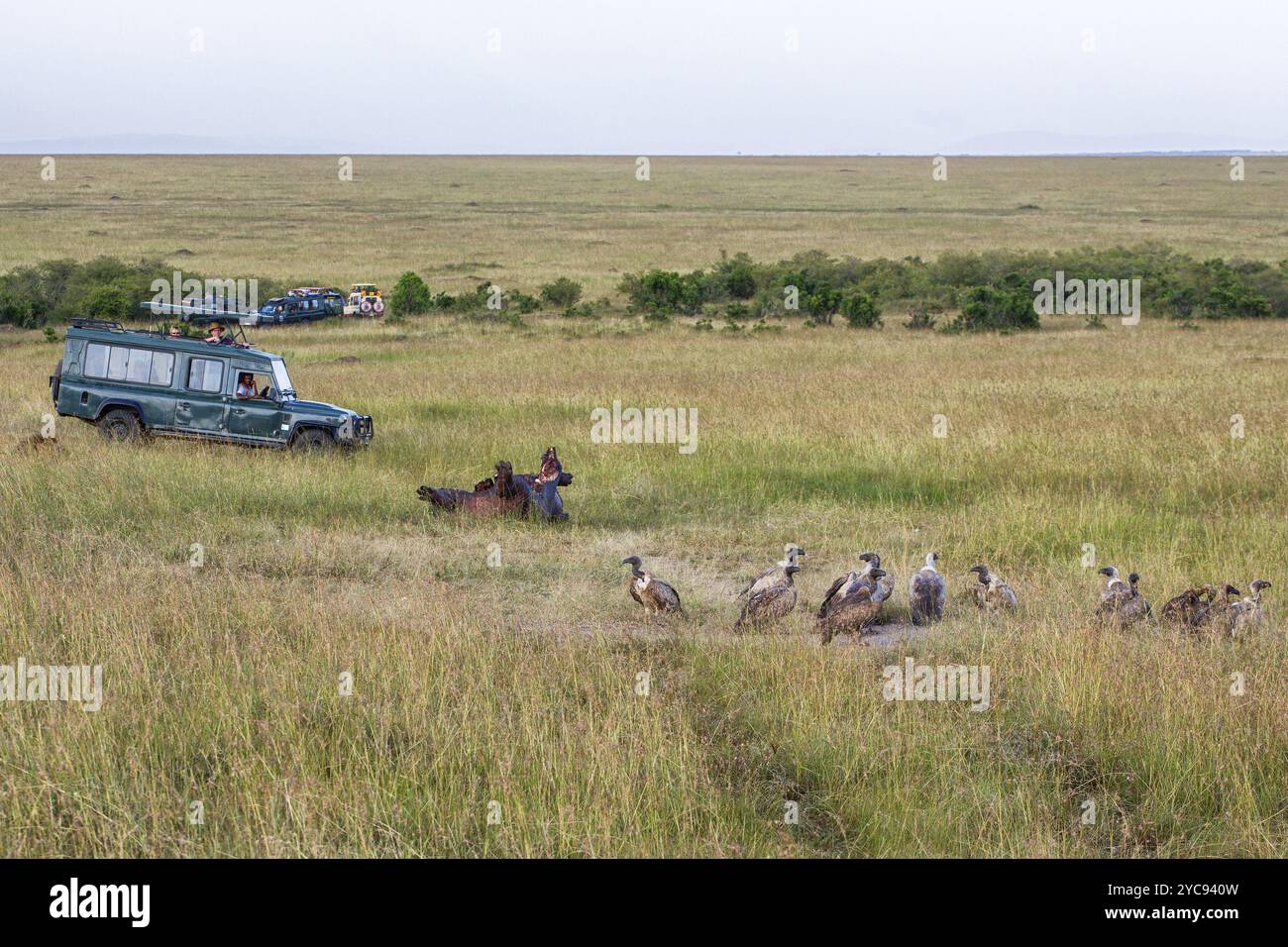 African vehicles hi-res stock photography and images - Alamy