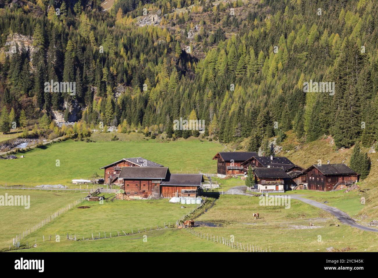 Alp farm hi-res stock photography and images - Alamy