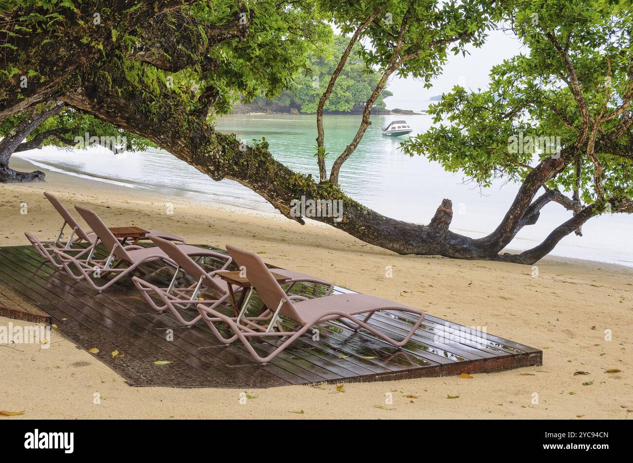Sunchairs on a deck at the beach after rain, Espiritu Santo, Vanuatu ...