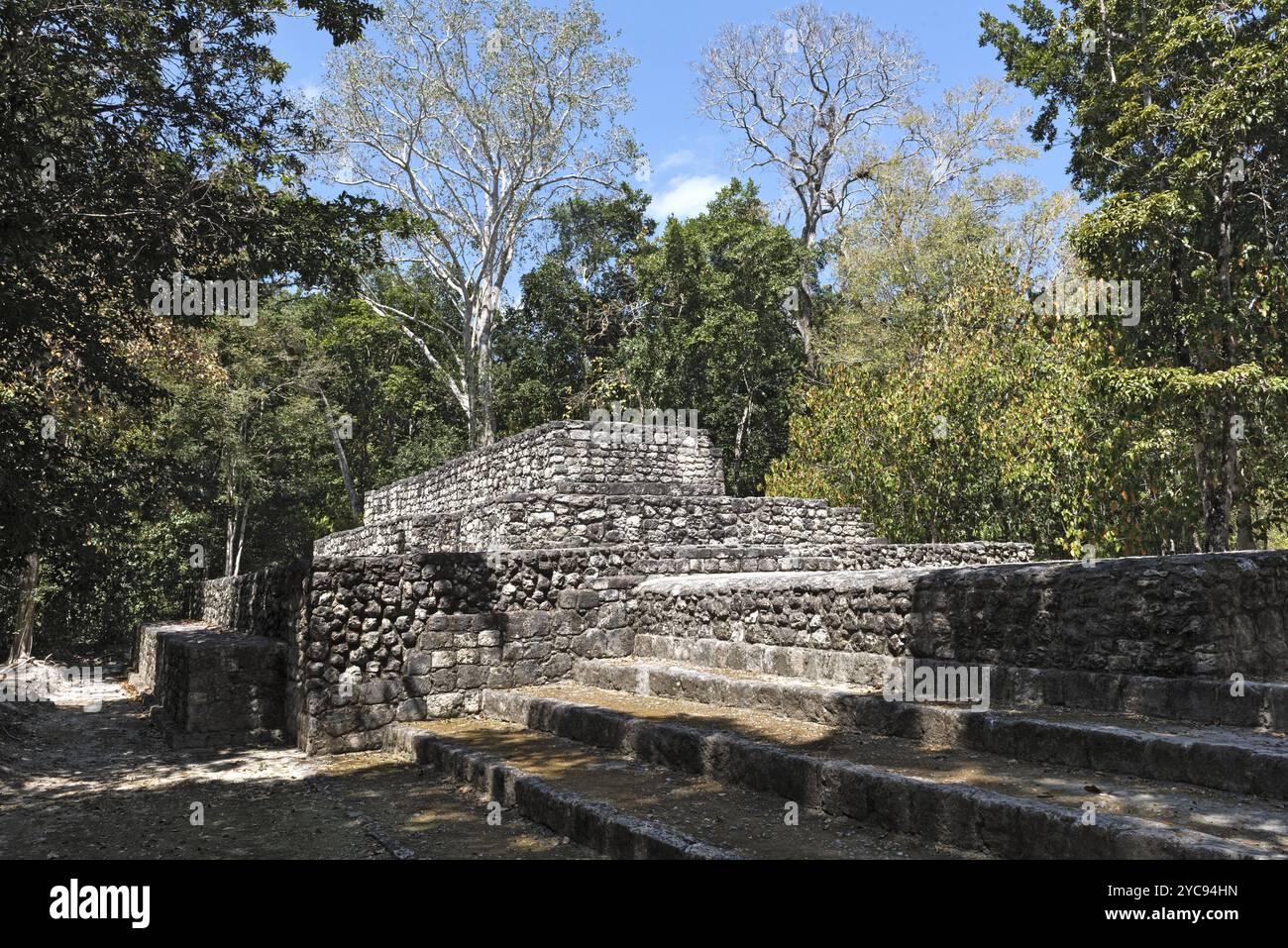 The ruins of the ancient mayan city of calakmul, campeche, mexico Stock ...