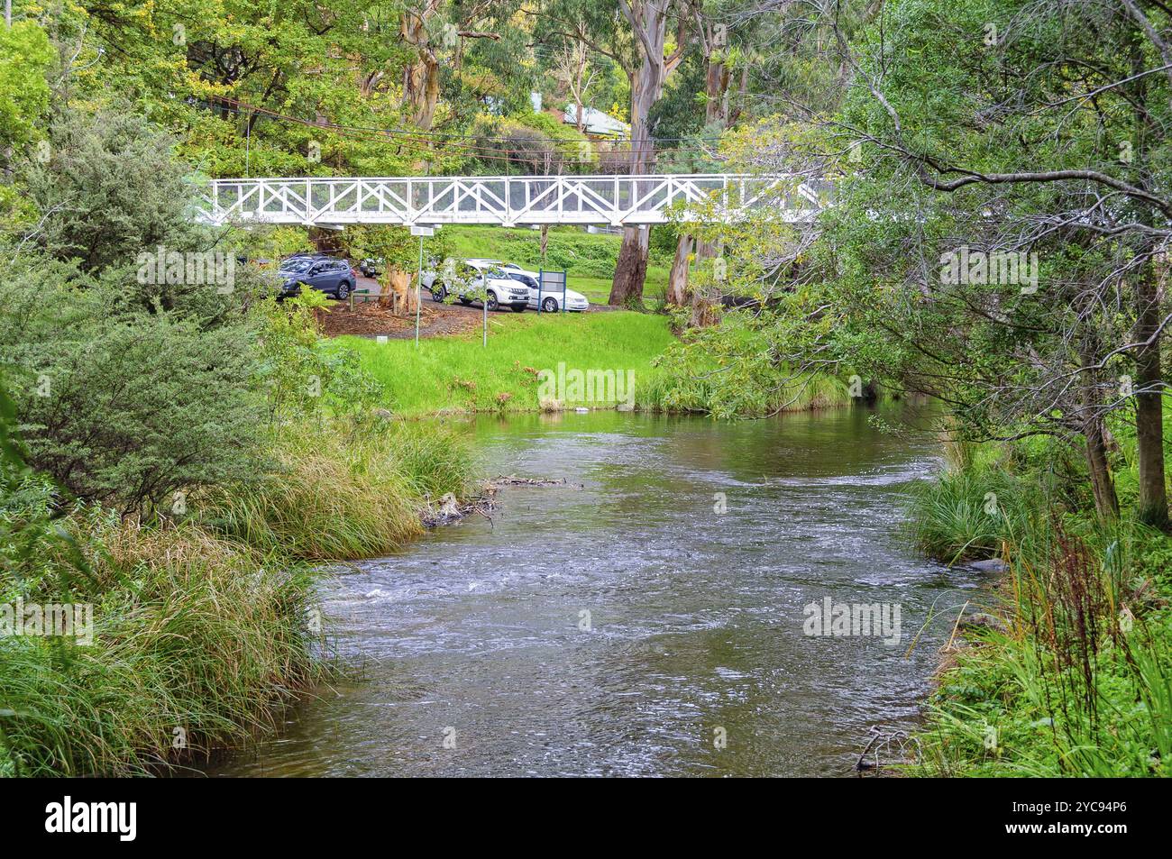 Redwood Bridge is a 34 meter suspension footbridge across the Yarra ...