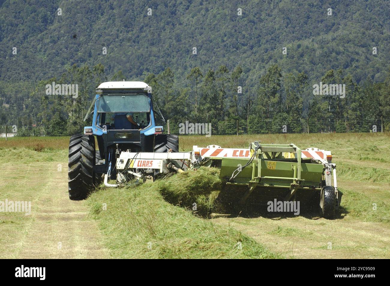 Tractor mowing pasture for silage, West Coast, South Island, New ...