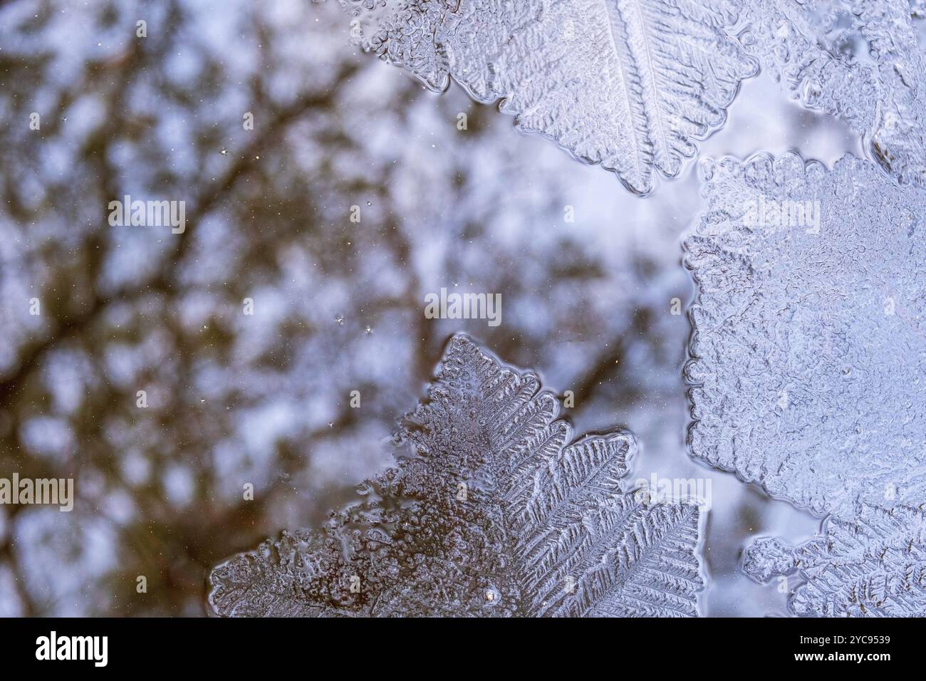 Floating sections hi-res stock photography and images - Alamy