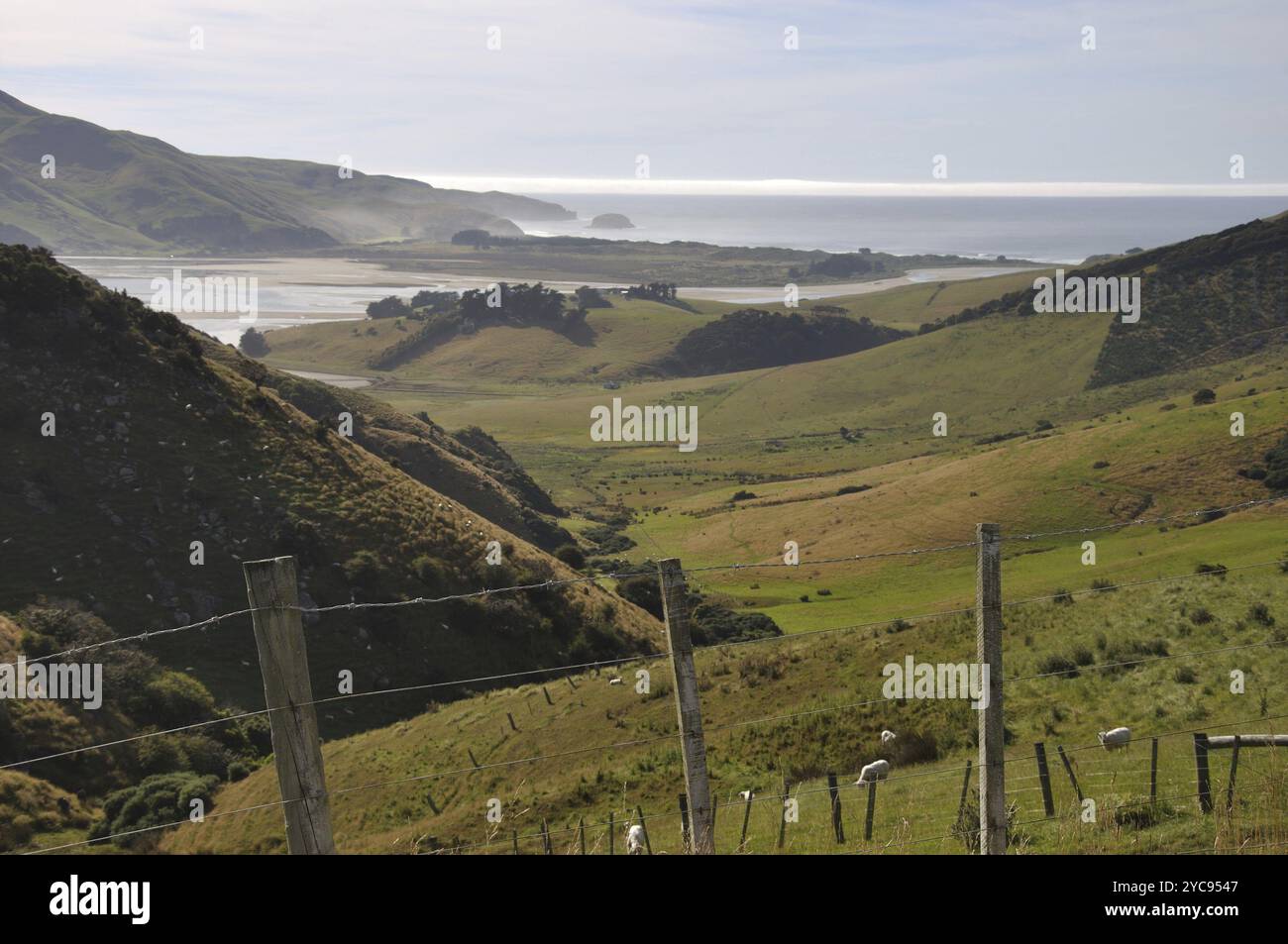 View of farms on Otago Peninsula near Dunedin, South Island, New ...