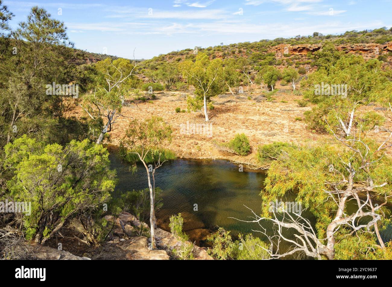 Gum trees and red rocks along the Murchison River, Kalbarri, WA ...