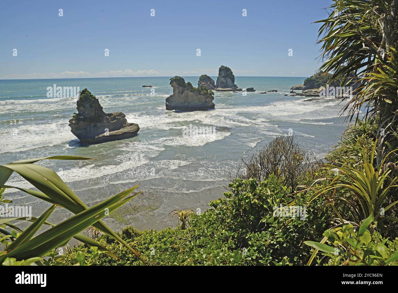 Low shrubs framing hi-res stock photography and images - Alamy