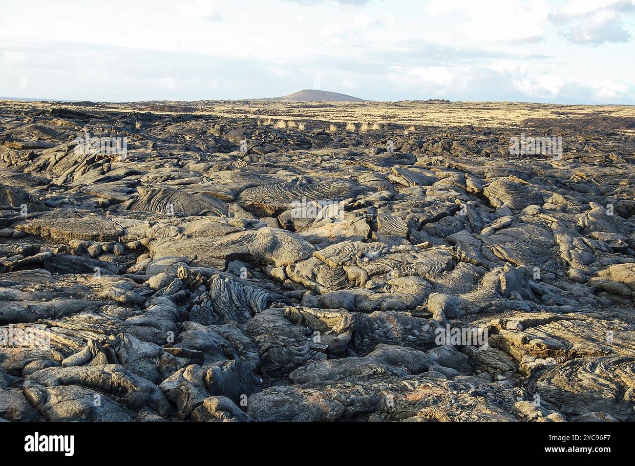 Frozen lava flow in the Kekaha Kai State Park of the Big Island, Hawaii ...