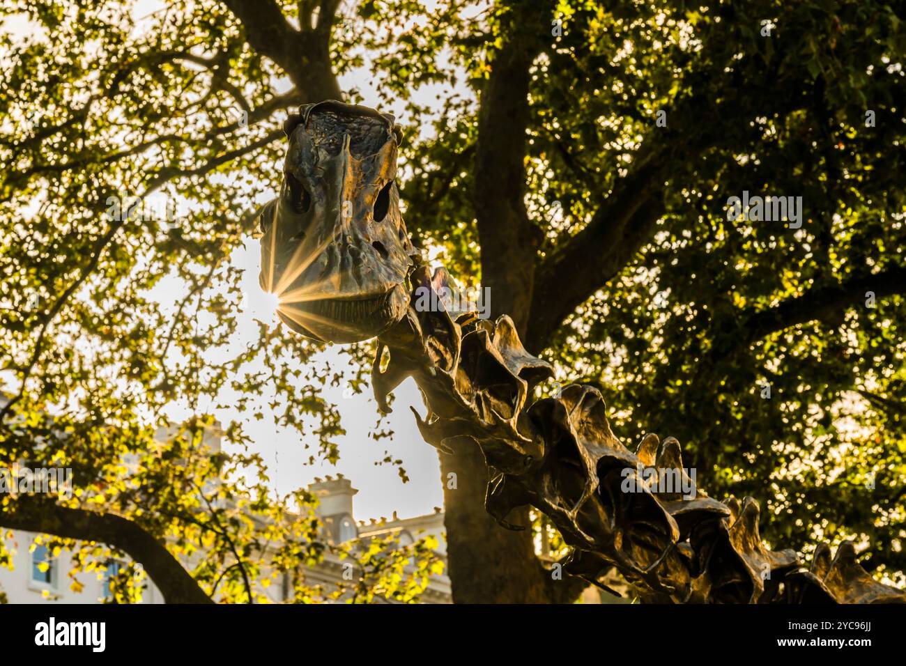 Autumn sun shining through the bronze Diplodocus ("Fern") in the ...
