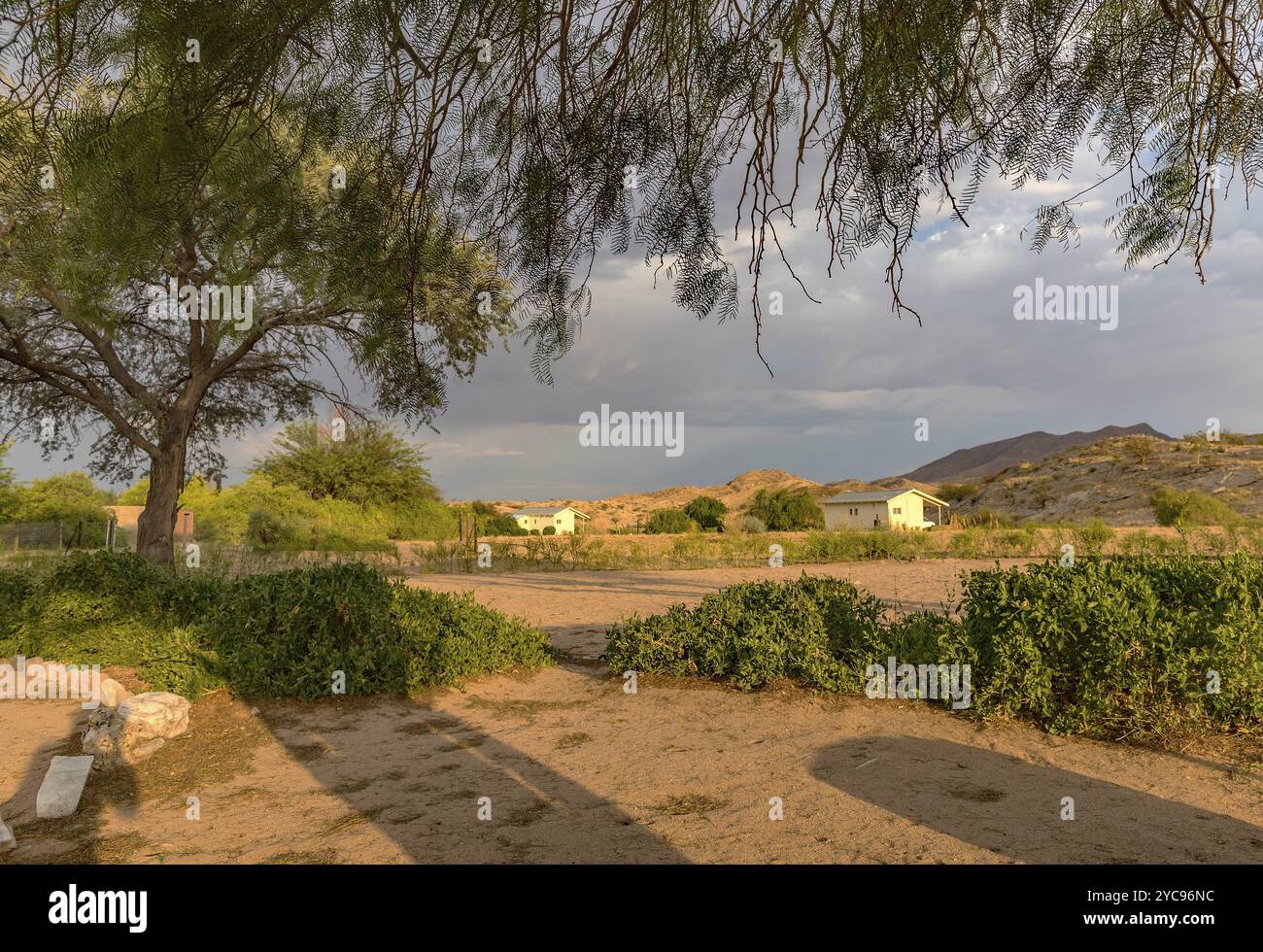 Landscape of the dry savannah in the northwest of Windhoek, Namibia ...