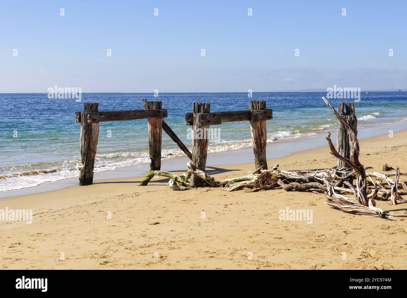 Remains of an old cattle jetty at Point Nepean, Portsea, Victoria ...