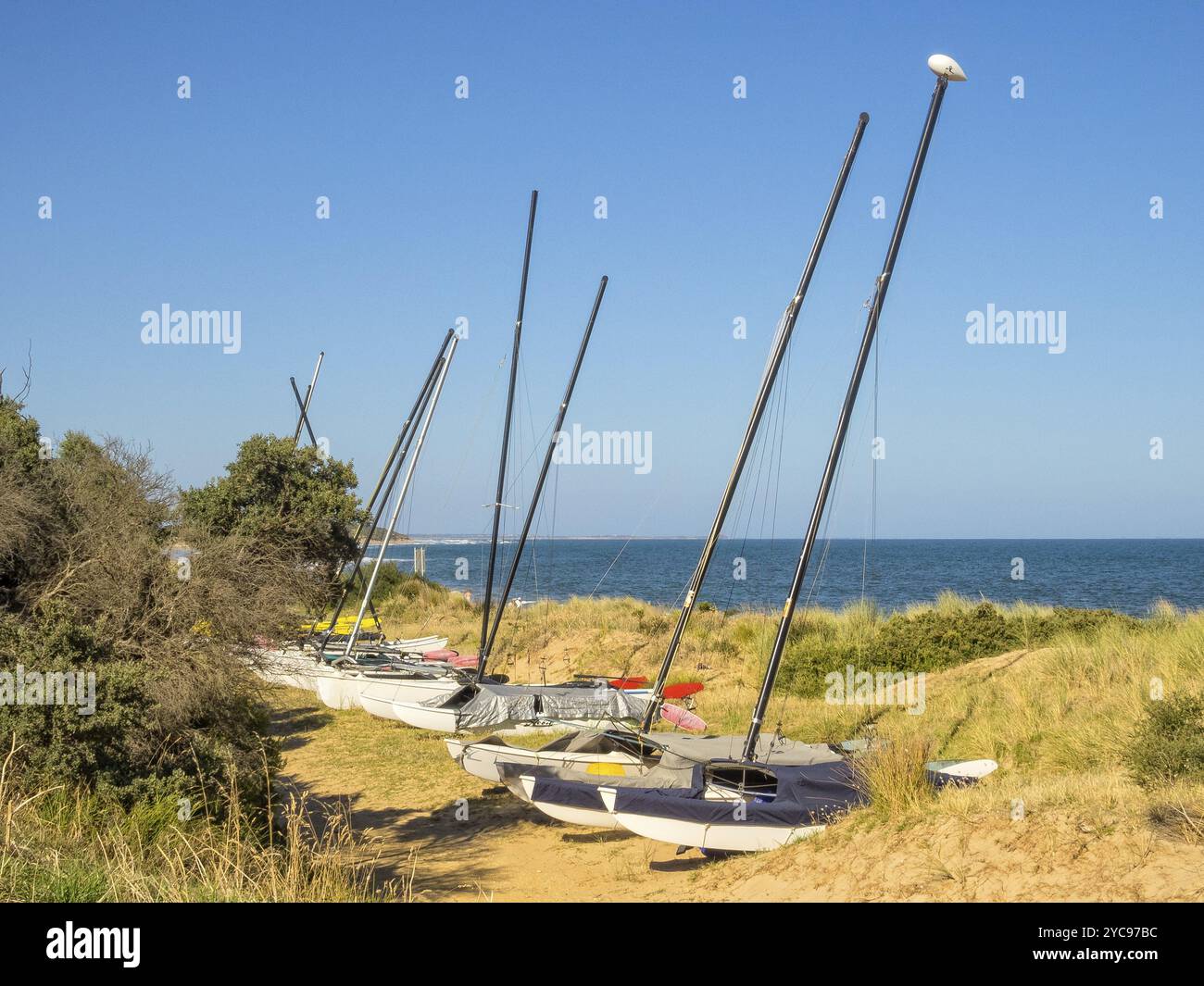 Catamarans behind the sand dunes, Torquay, Victoria, Australia, Oceania ...
