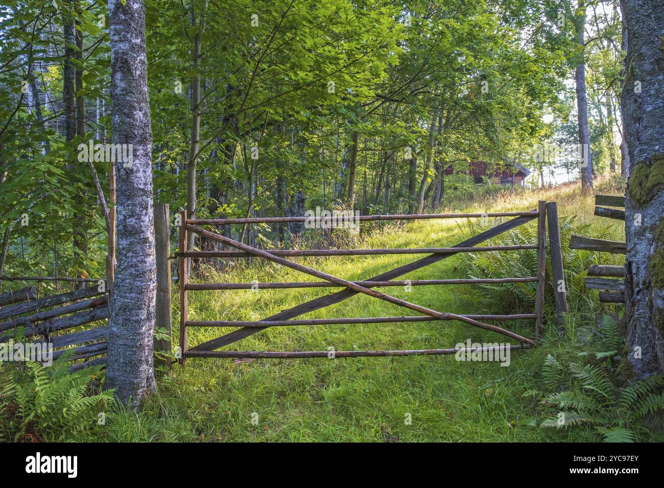 Wooden gate in fence no people hi-res stock photography and images - Alamy