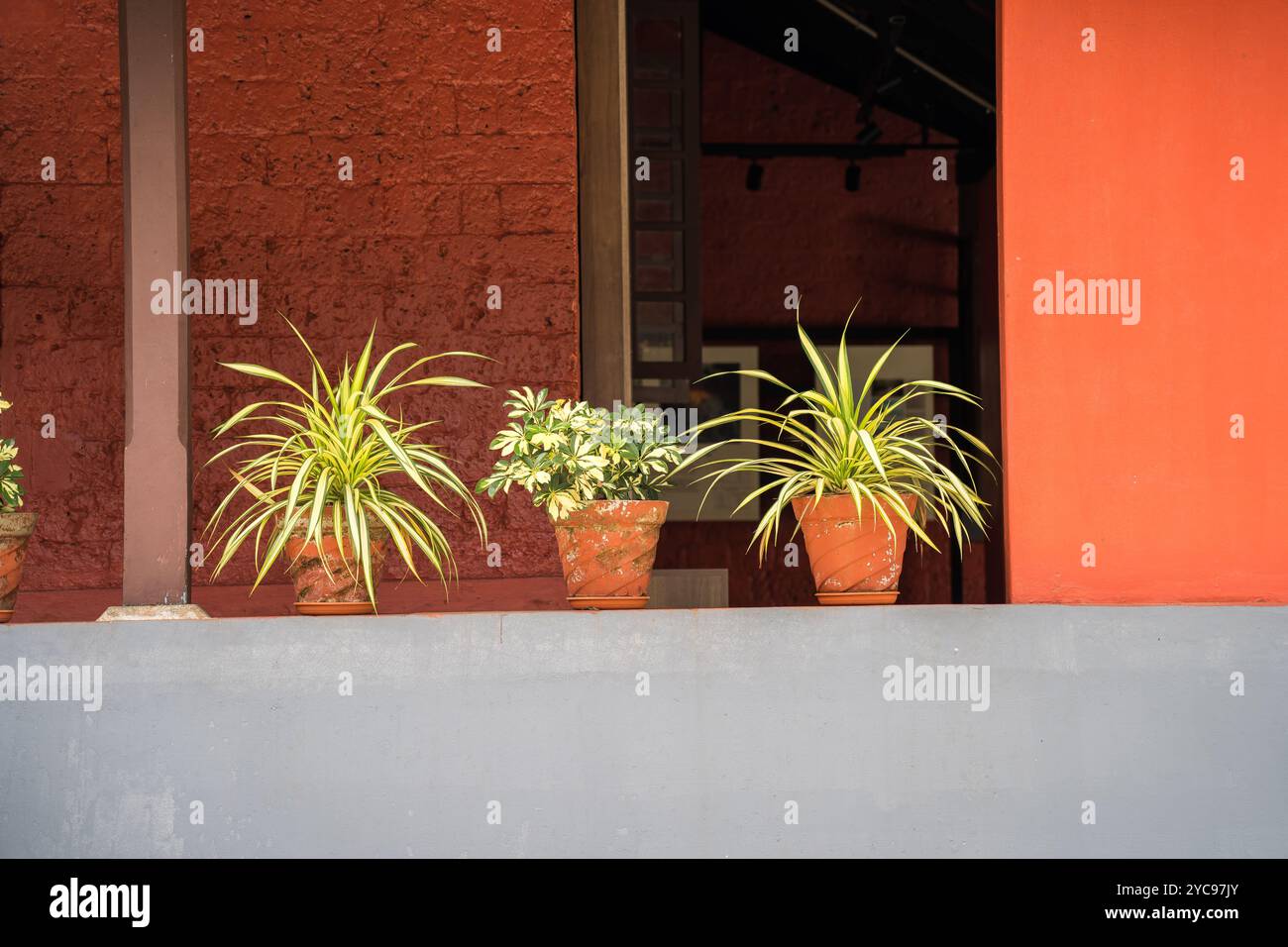 Hajur Kacheri building underwent a transformation initiated by the ...