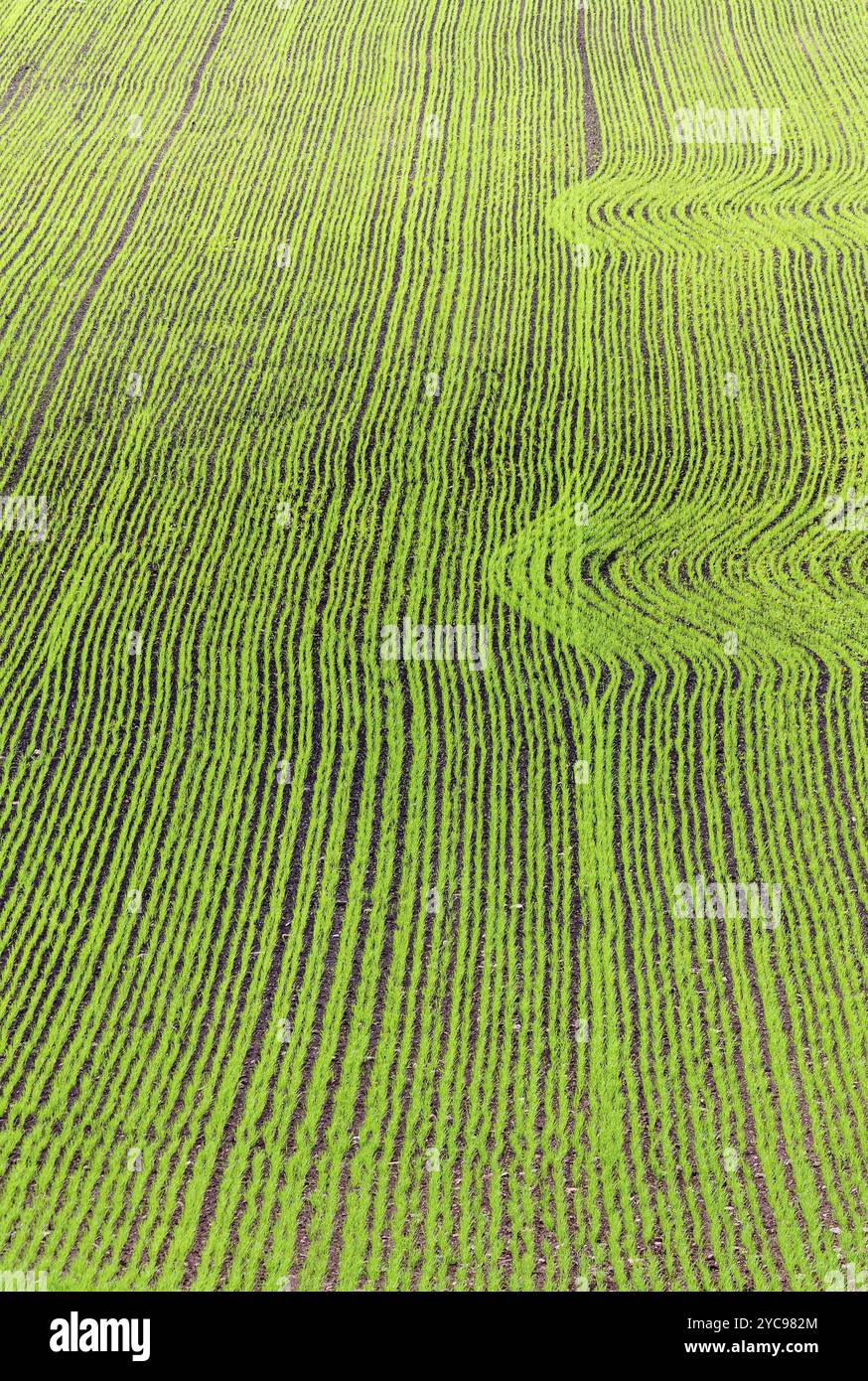 Seed patterns hi-res stock photography and images - Alamy