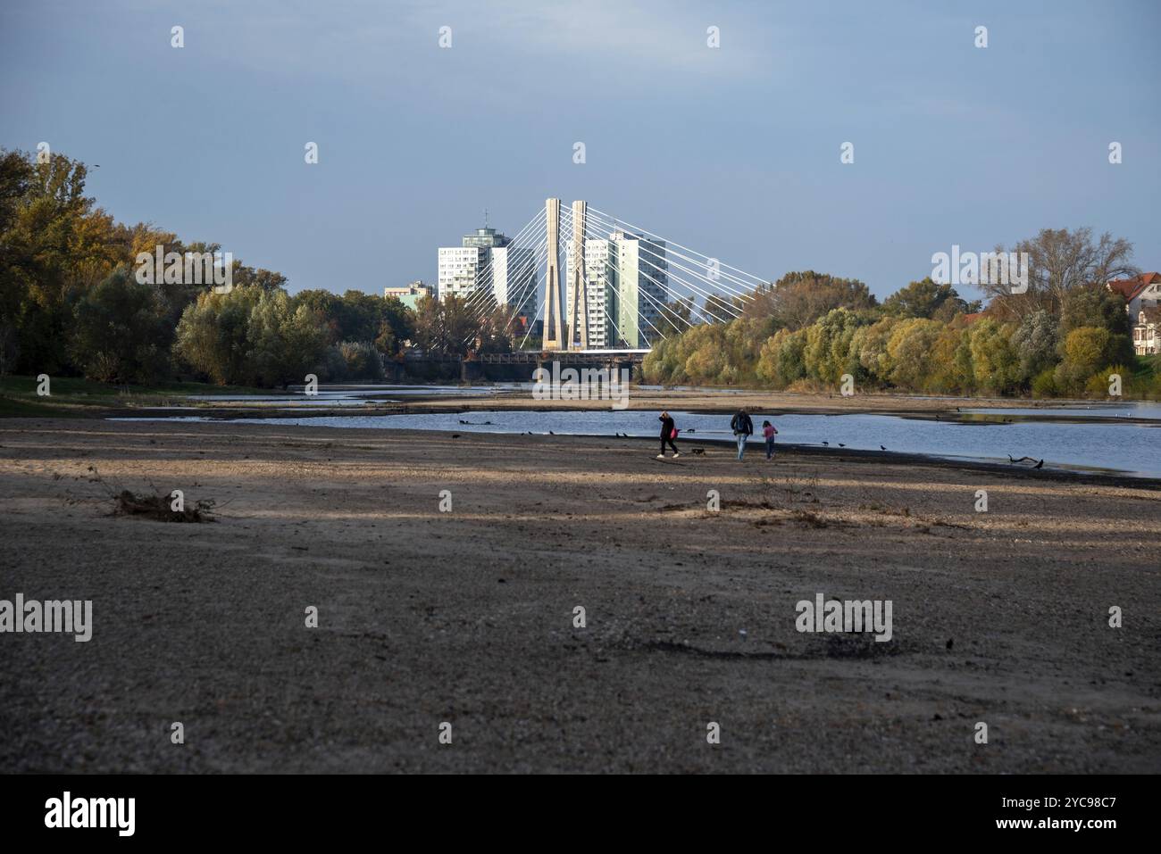 View of Kaiser Otto Bridge and high-rise buildings, surrounded by ...