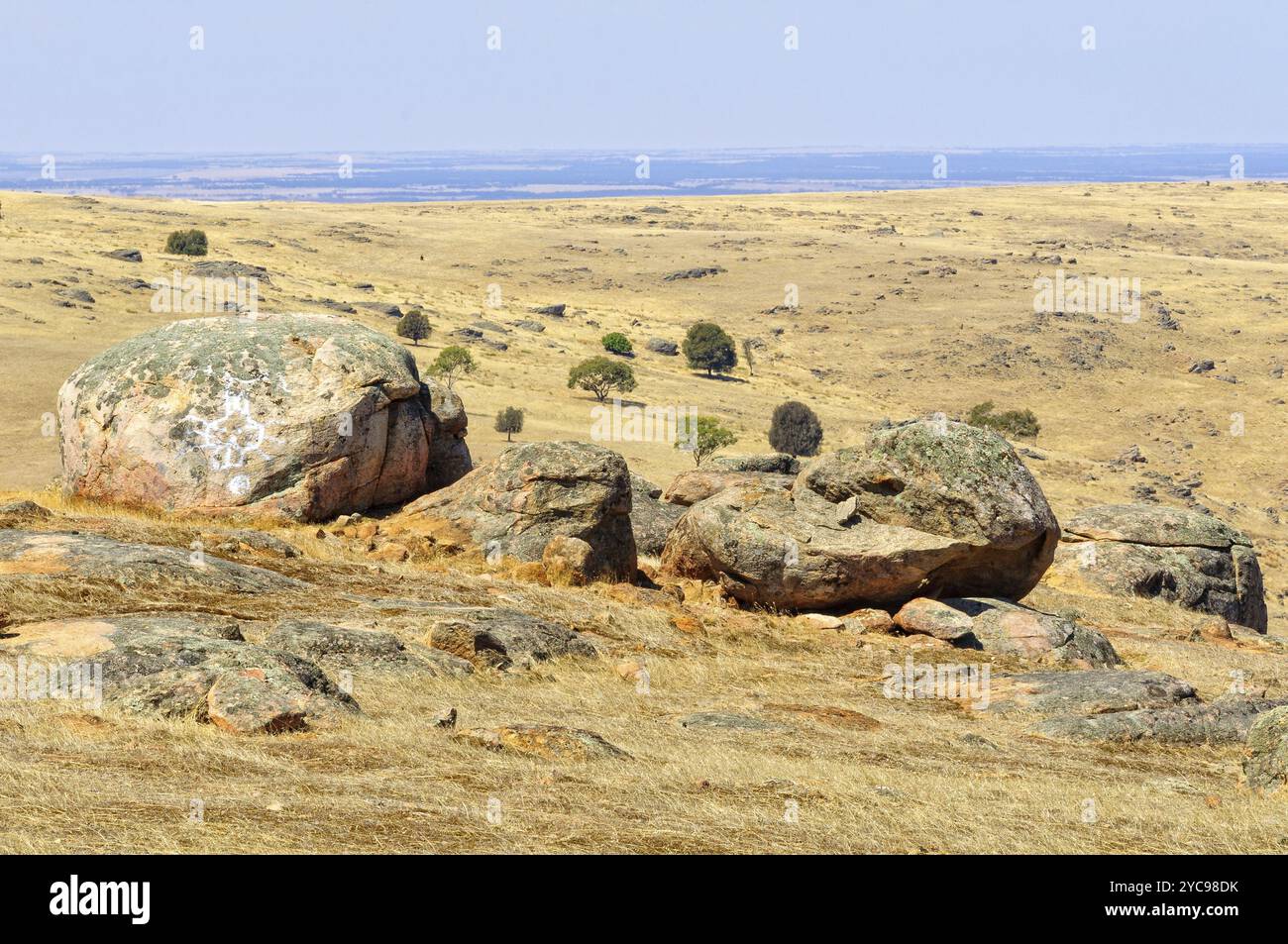 Steep, dry and rocky pasture between Angaston and Murray Bridge, SA ...