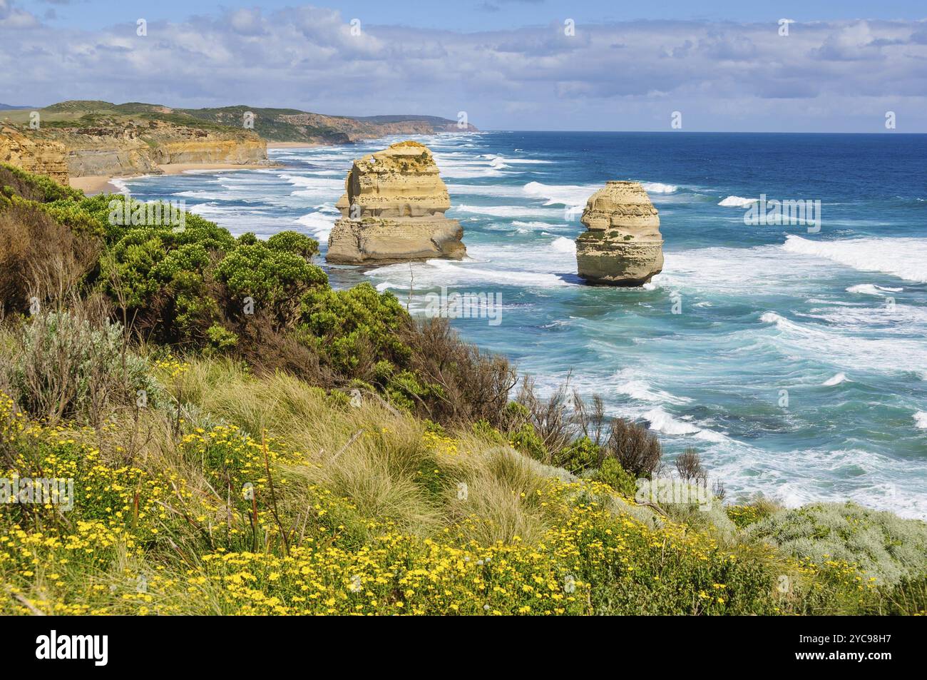 Coastal flora and two limestone pillars of the Twelve Apostles, Port ...