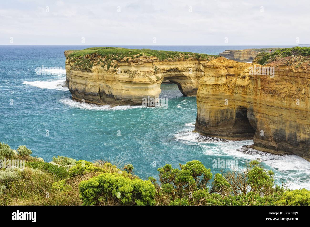 Mutton Bird Island is the home to thousands of short-tailed shearwater ...