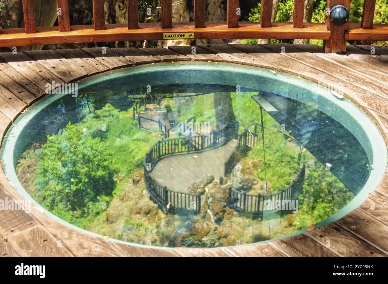 Steps down to the entrance mouth of Jewel Cave through the glass floor ...