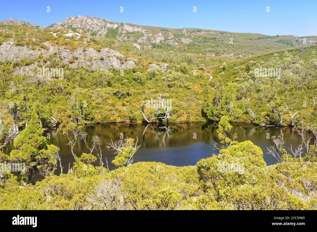Wombat Pool is an easily accessible gem of the Cradle Mountain-Lake St ...