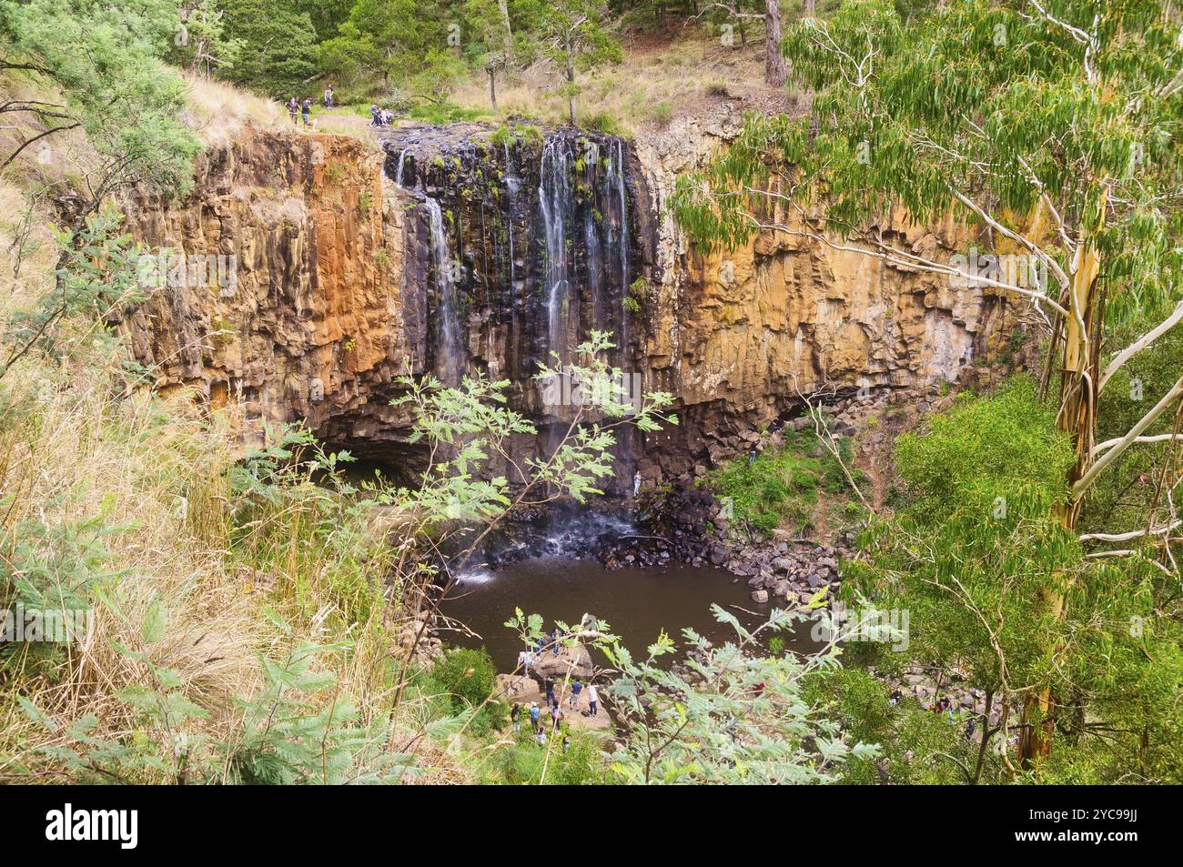 Trentham Falls is one of the longest single drop waterfalls in Victoria ...