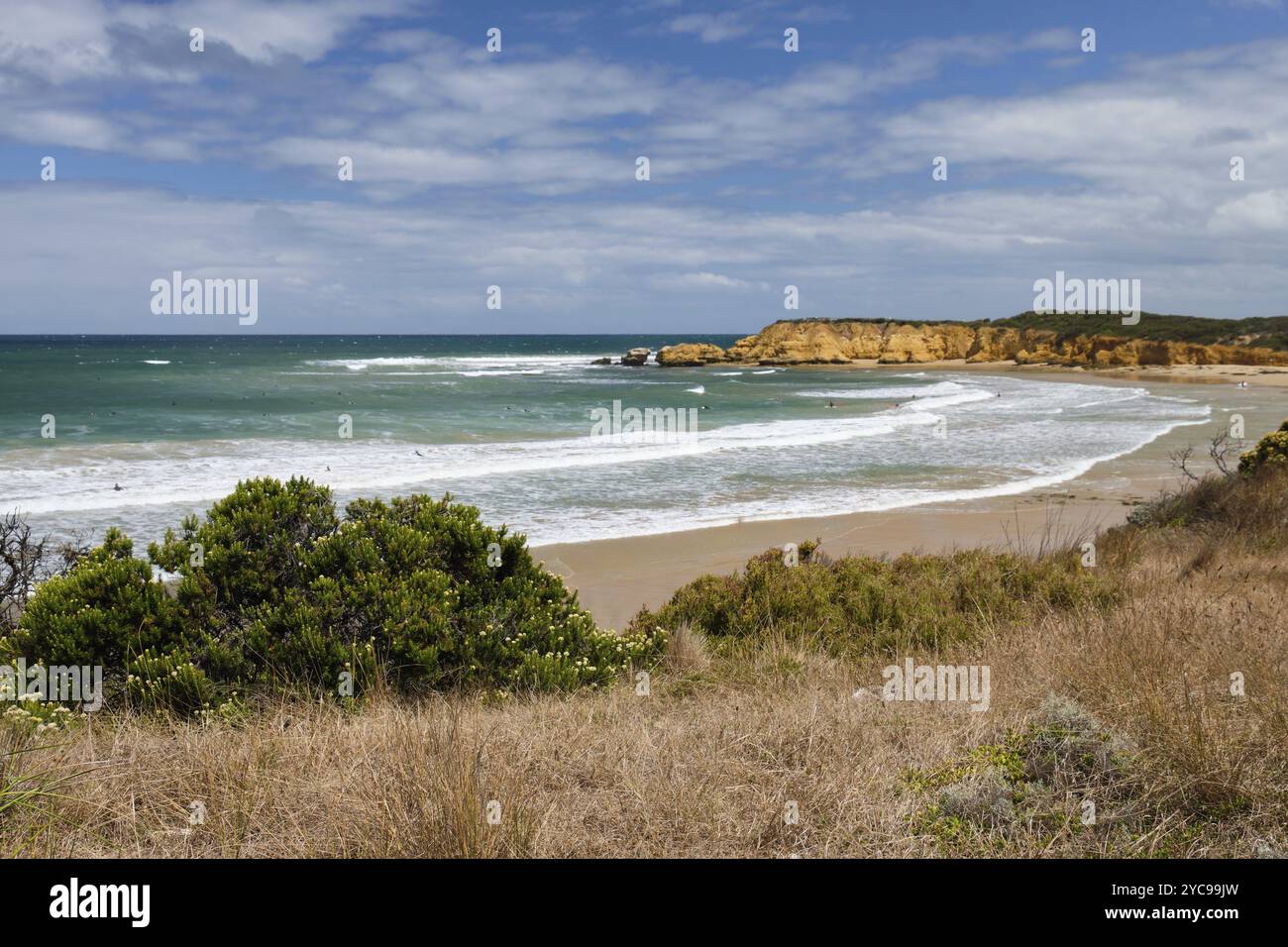 The soft waves and easy entry to the ocean make the Surf Beach ideal ...