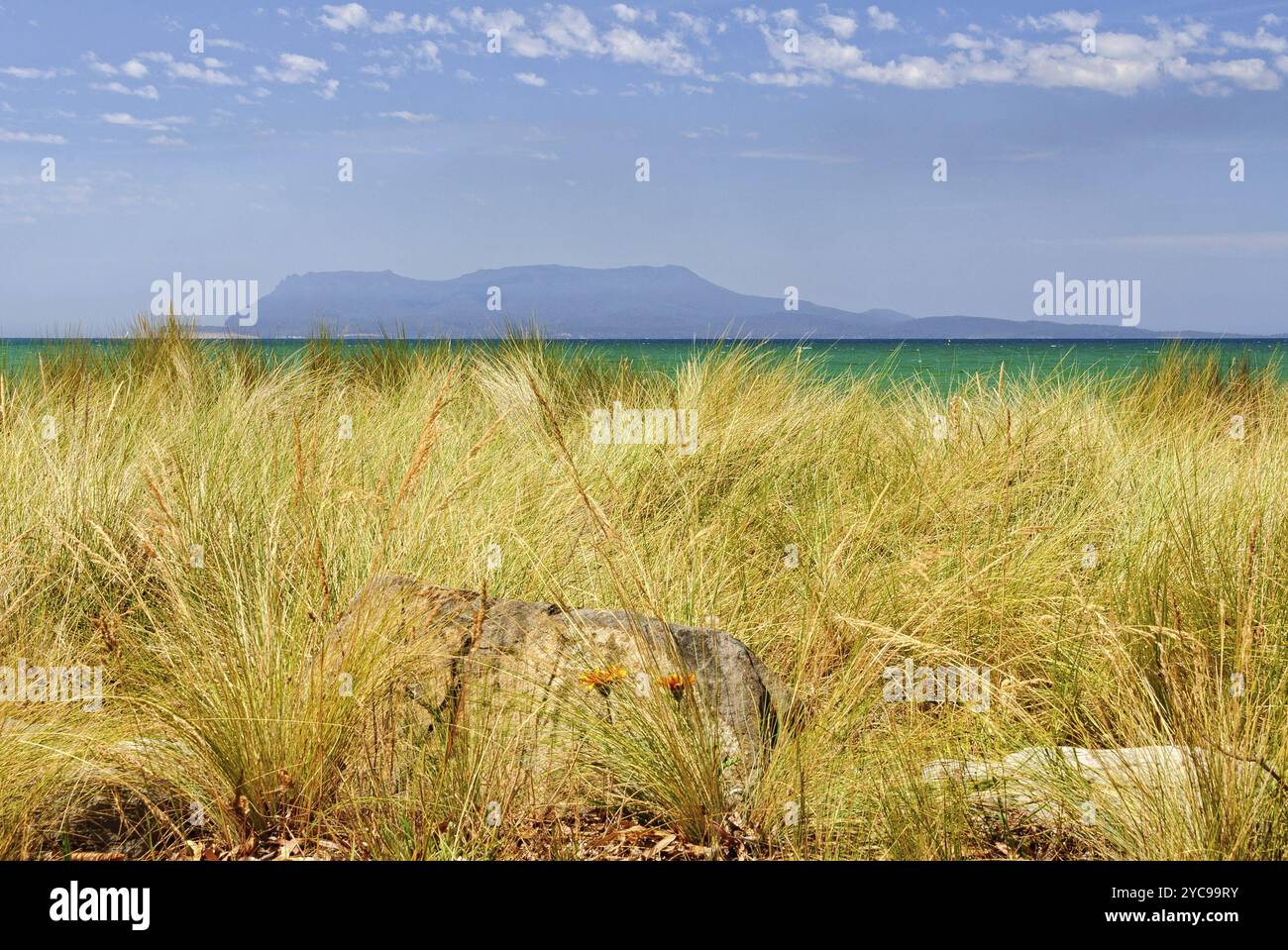Maria Island as seen from behind the dune grass on Raspins Beach in ...