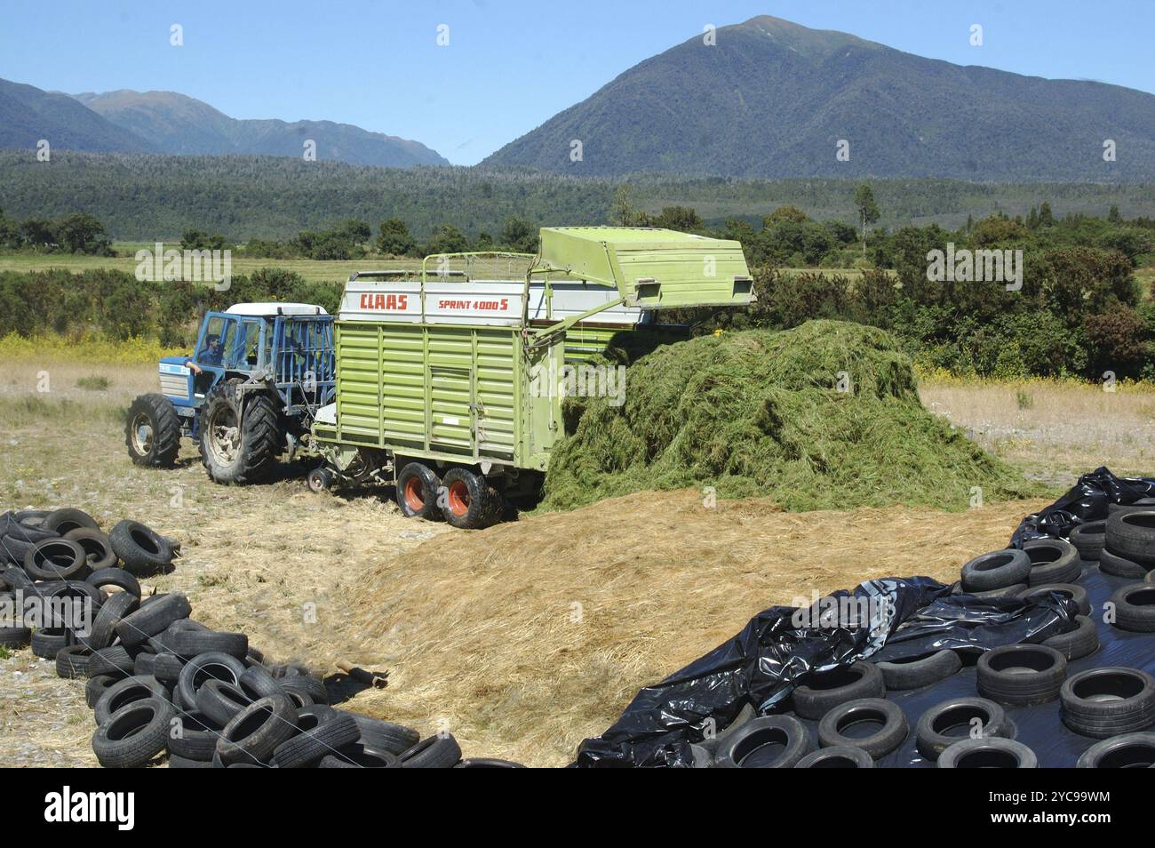 Greymouth, New Zealand circa 2008: Tractor empties silage wagon onto ...