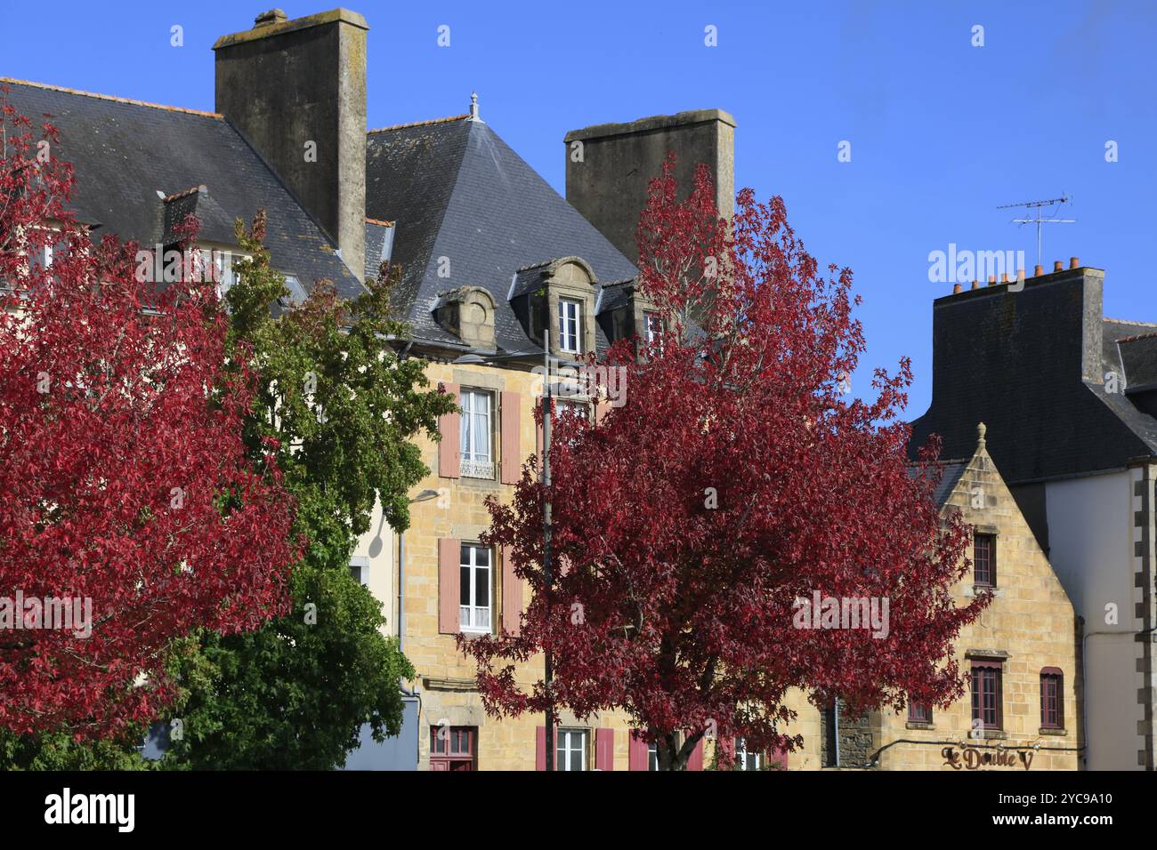 Historic stone houses on the Quai de Leon, tree with red autumn leaves ...