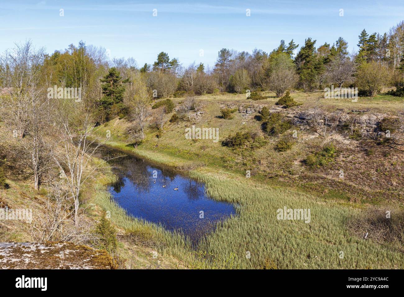 Ravine with a lake in a spring landscape Stock Photo - Alamy