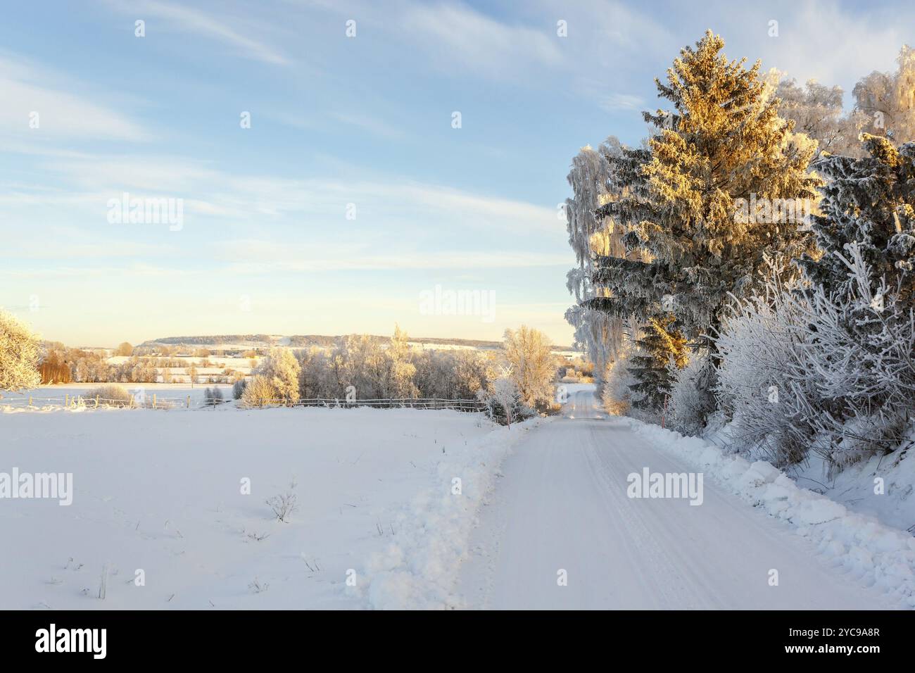 Beautiful shot rural unpaved hi-res stock photography and images - Alamy